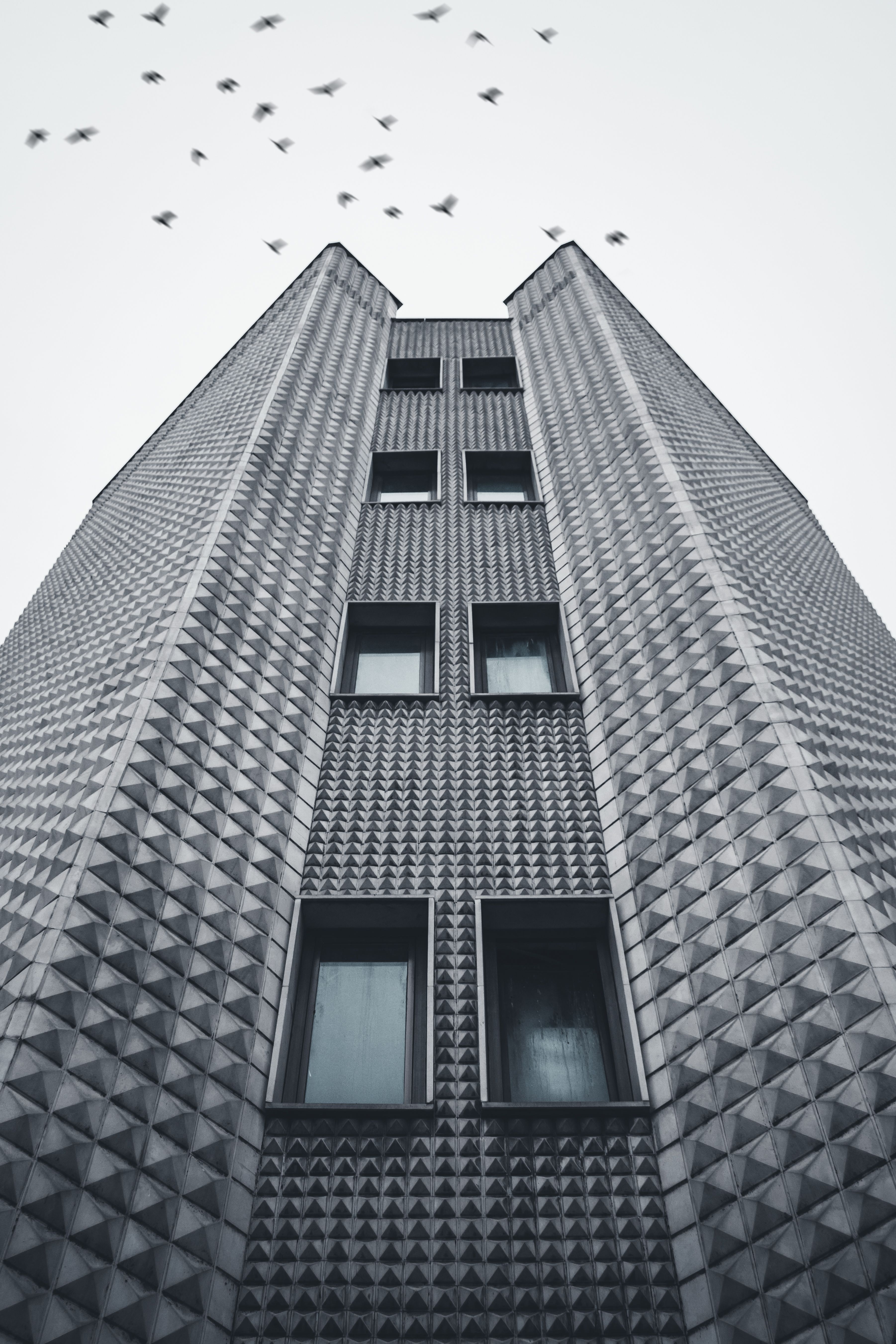 Grayscale Photo of a Concrete Building · Free Stock Photo