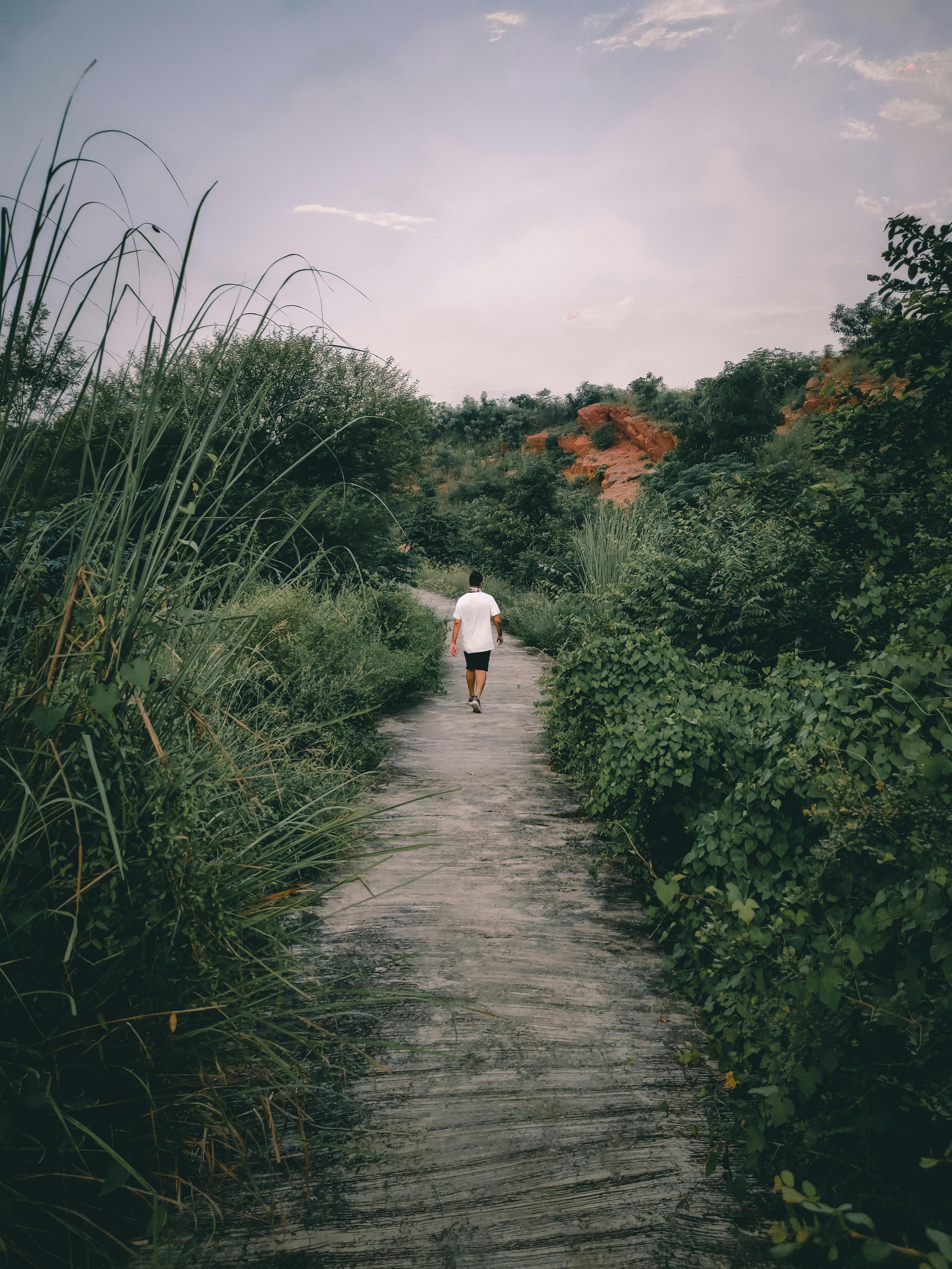 Man Waling on a Pathway Between Wild Plants · Free Stock Photo