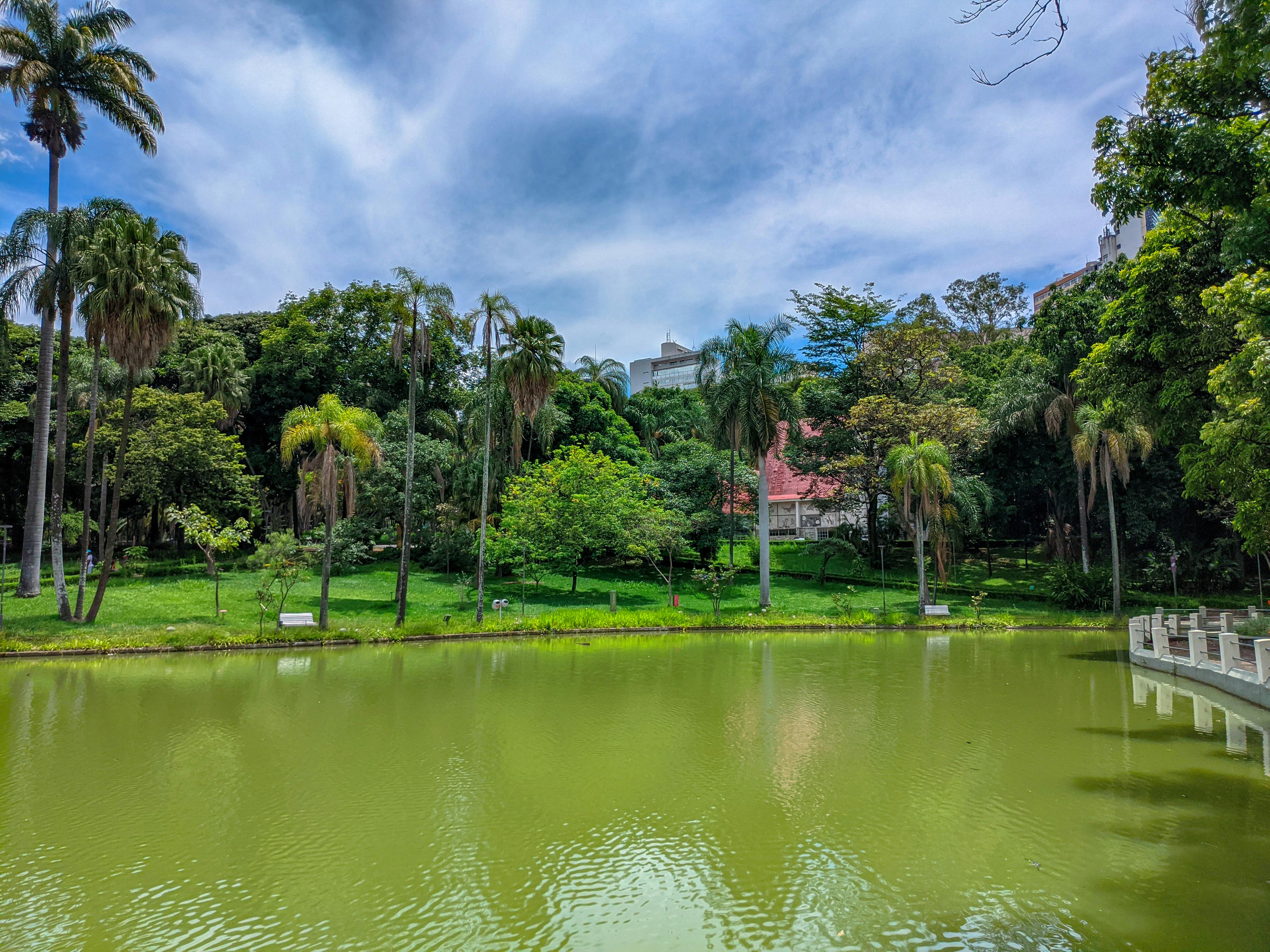 A Dug Out Water Pond in the Park · Free Stock Photo