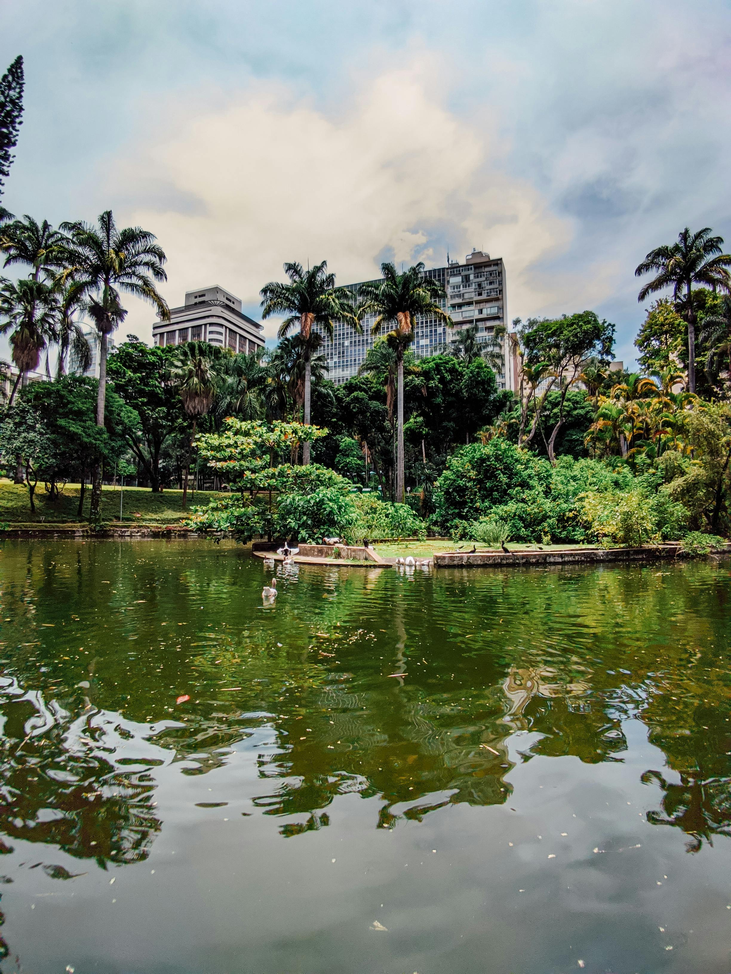 A Dug Out Pond in the Garden Park · Free Stock Photo