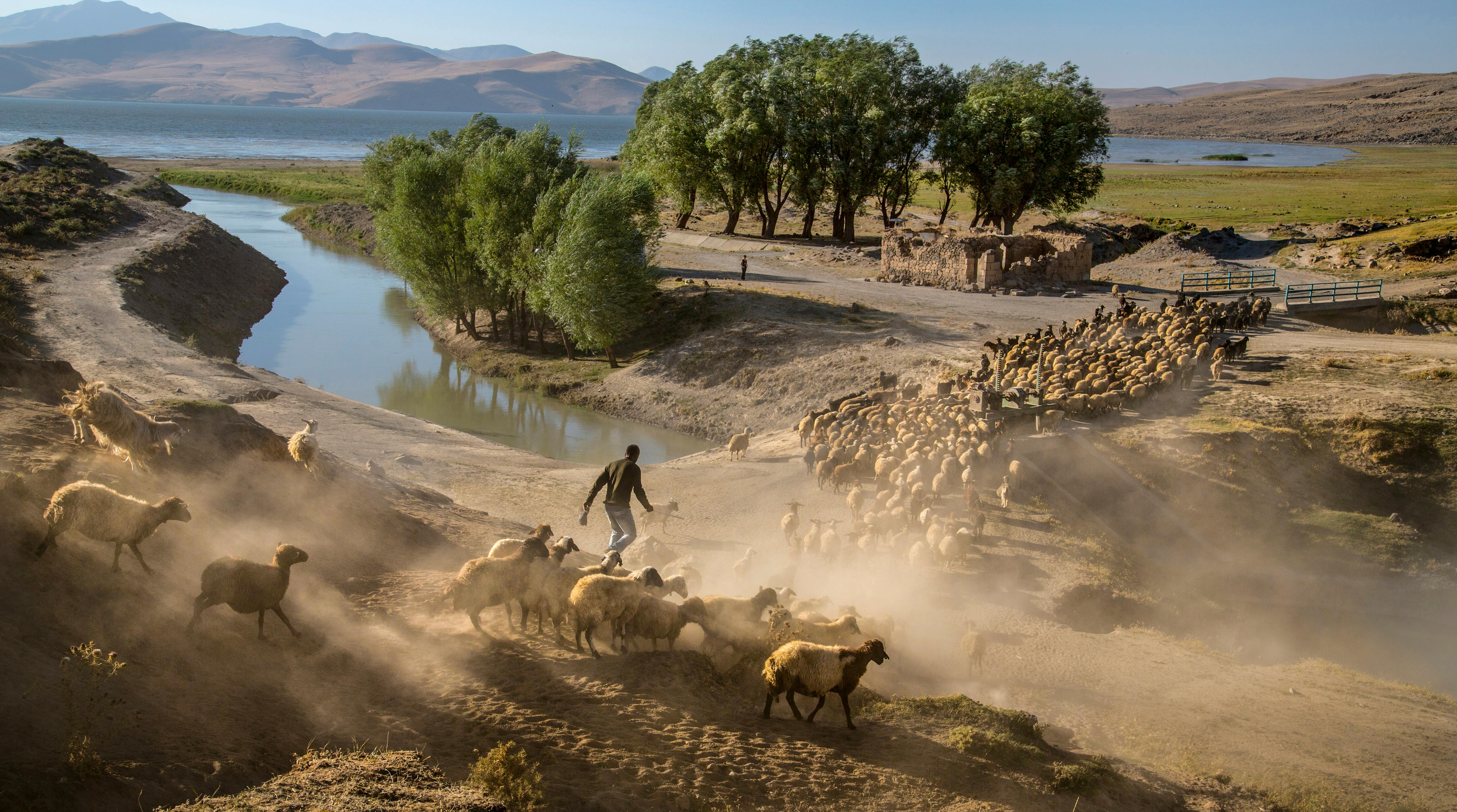 98 X 98 Fanny Animals Gril Photos, Download The BEST Free 98 X 98 Fanny ...