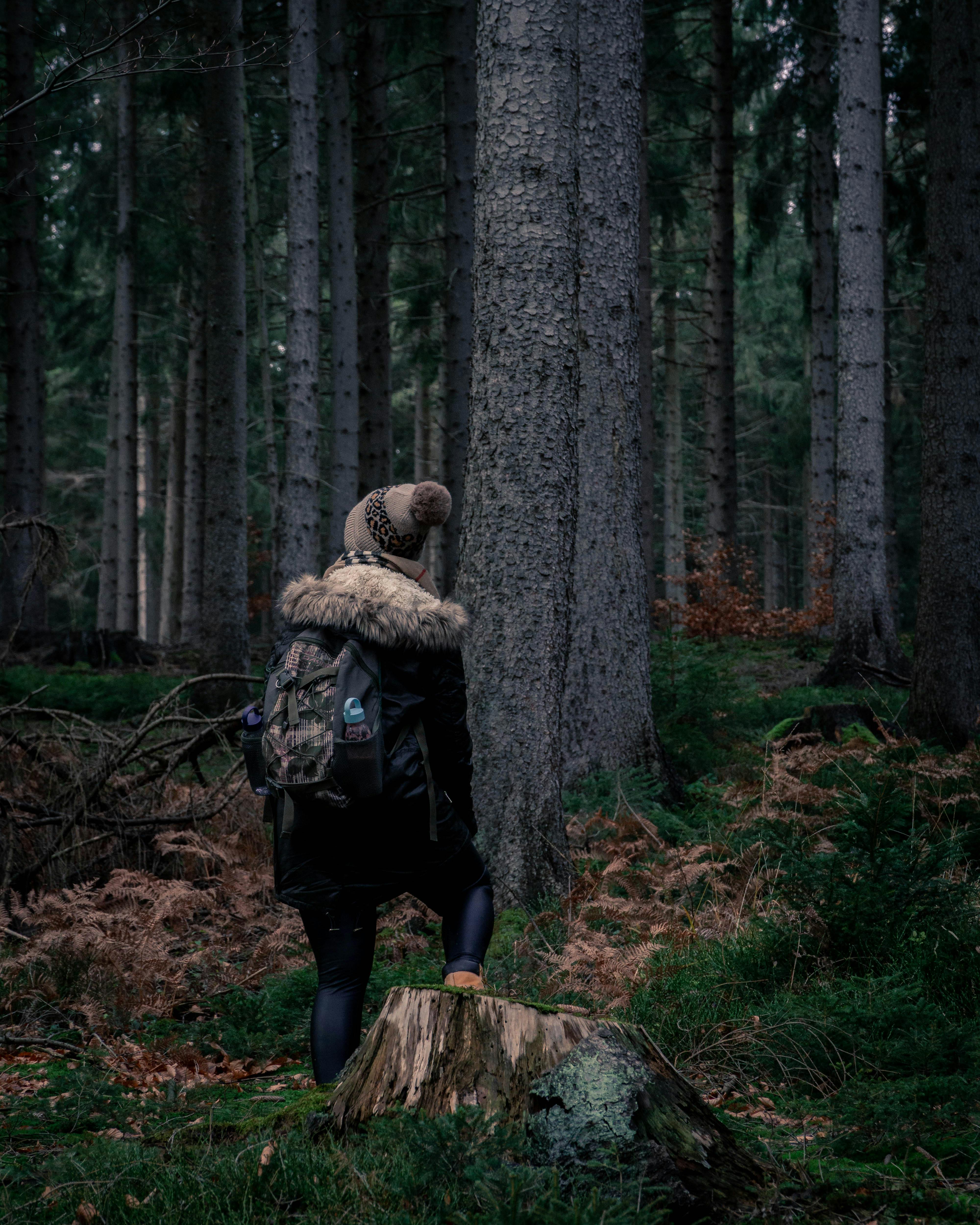 Photo of Man Walking on Tree Trunk · Free Stock Photo
