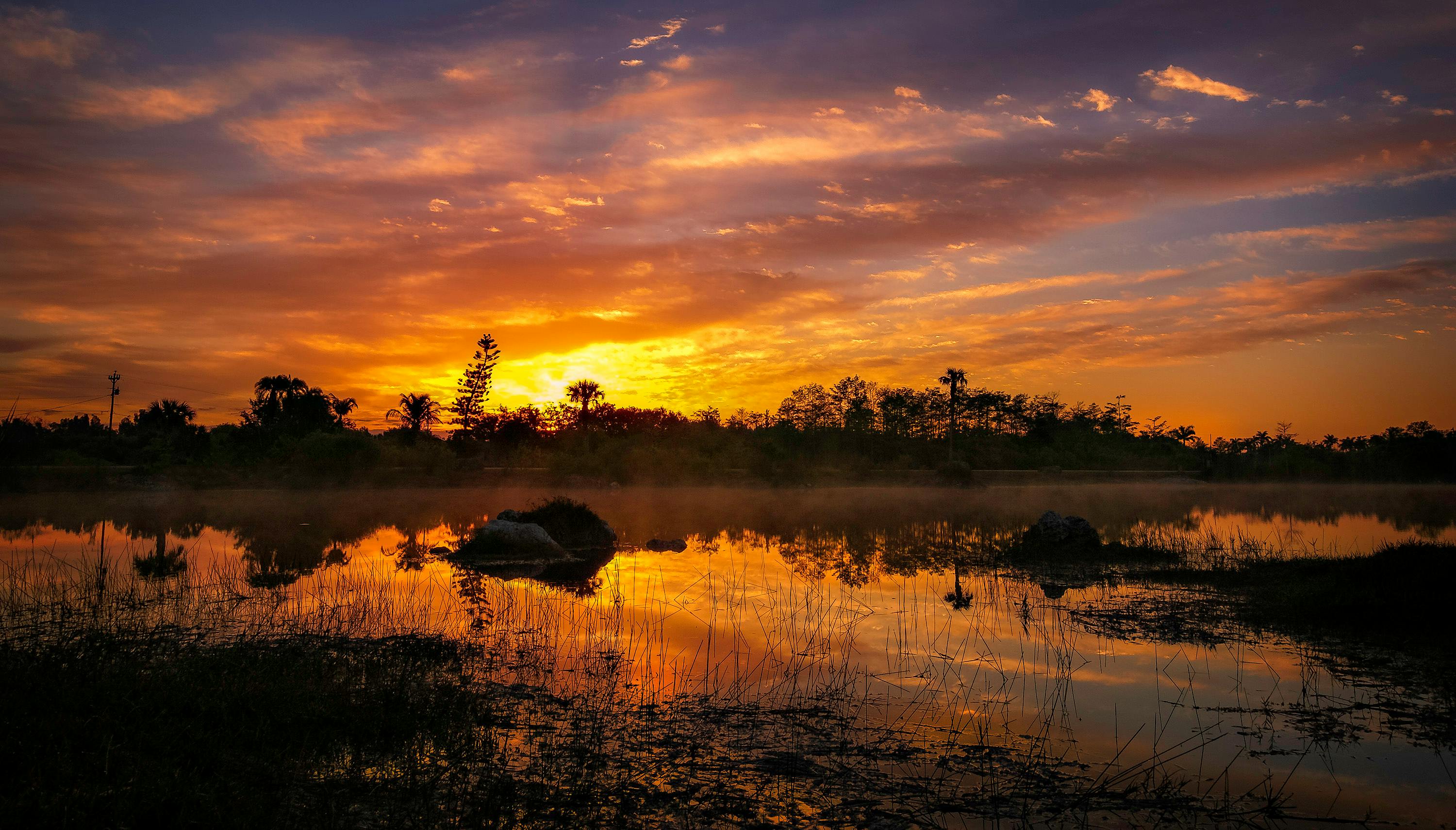 Sunset Swamp Photos, Download The BEST Free Sunset Swamp Stock Photos ...