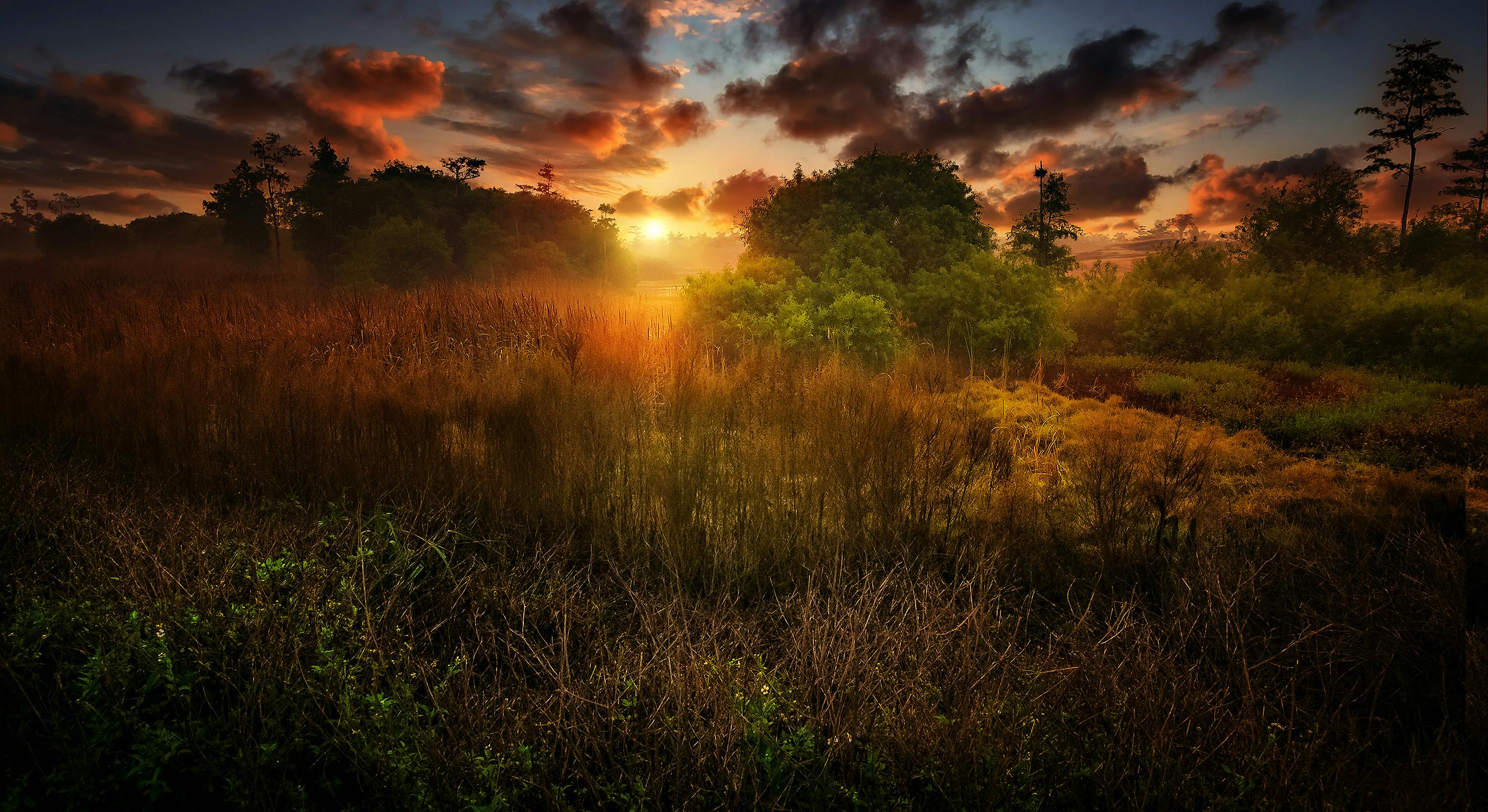 Dramatic Sunset Over Hayfield · Free Stock Photo