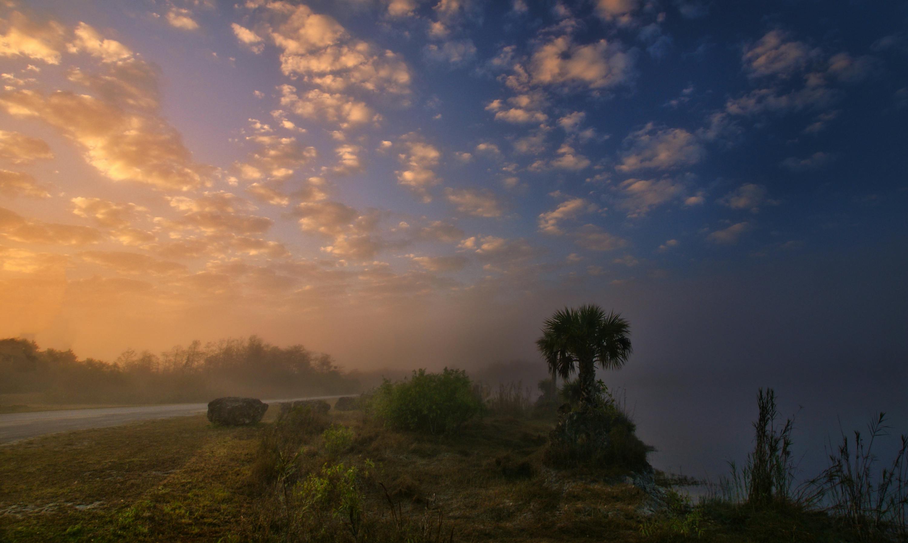 Riverside Fog Photos, Download The BEST Free Riverside Fog Stock Photos ...
