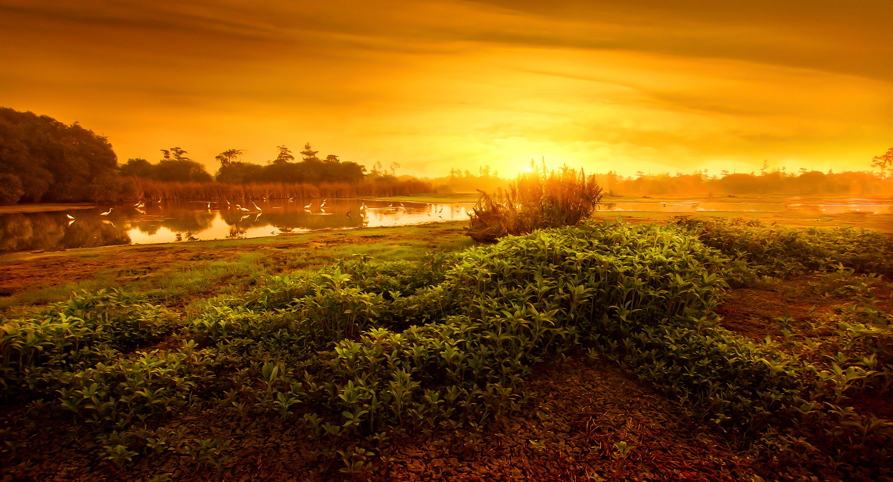 Beautiful Orange Sunset Over a River · Free Stock Photo