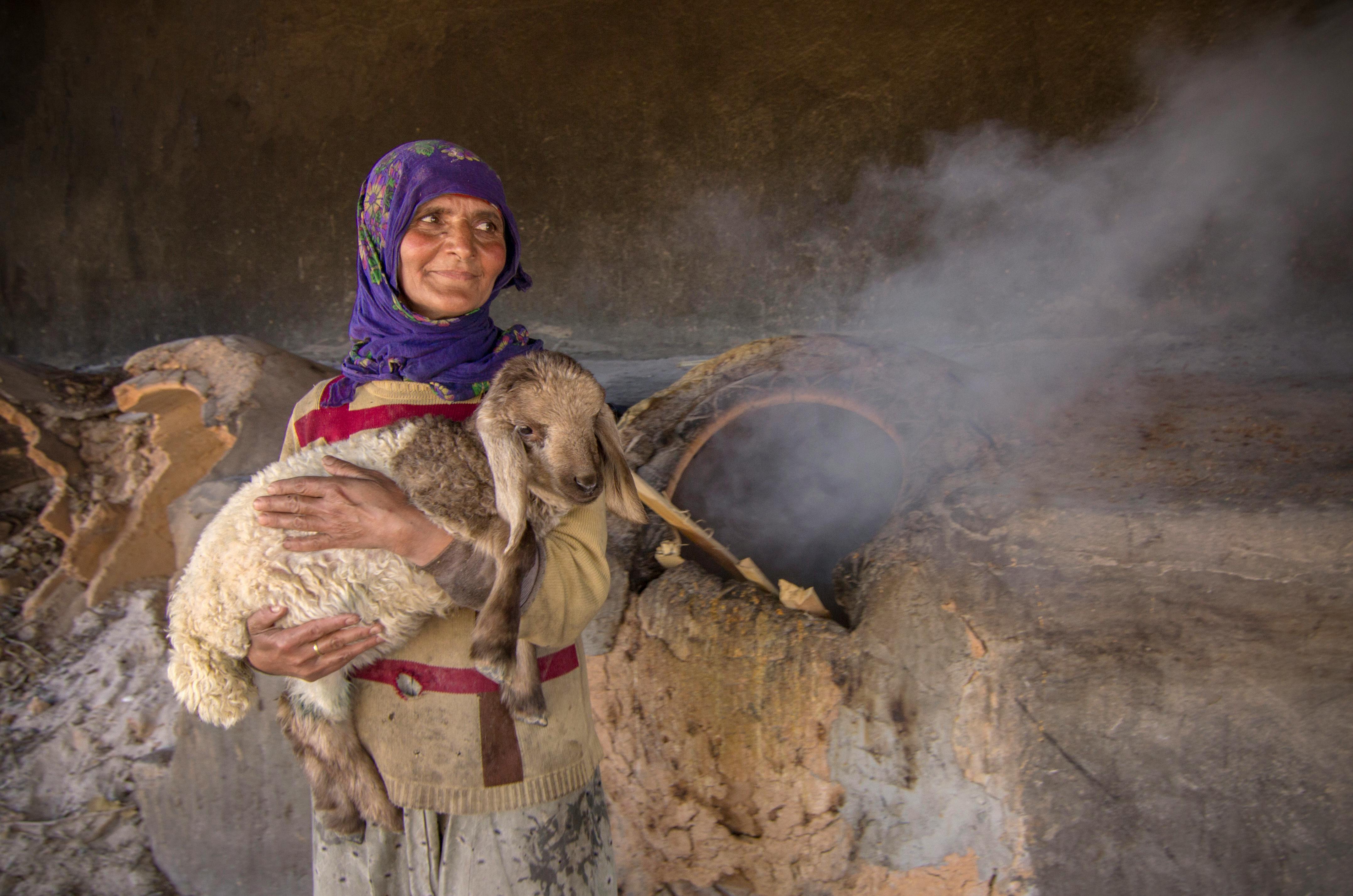 Woman Carrying a Sheep · Free Stock Photo