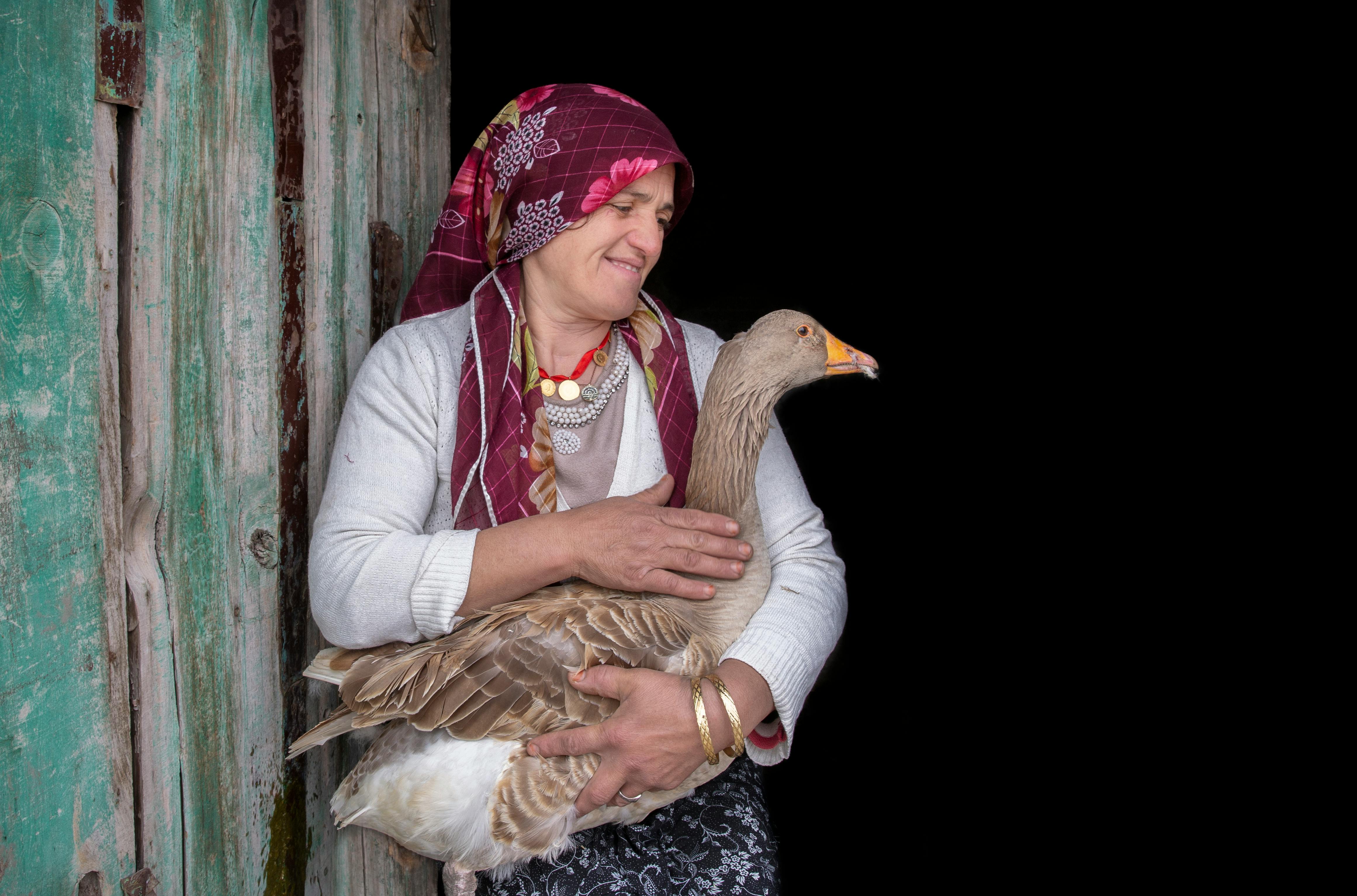 Woman With Goose Photos, Download The BEST Free Woman With Goose Stock ...