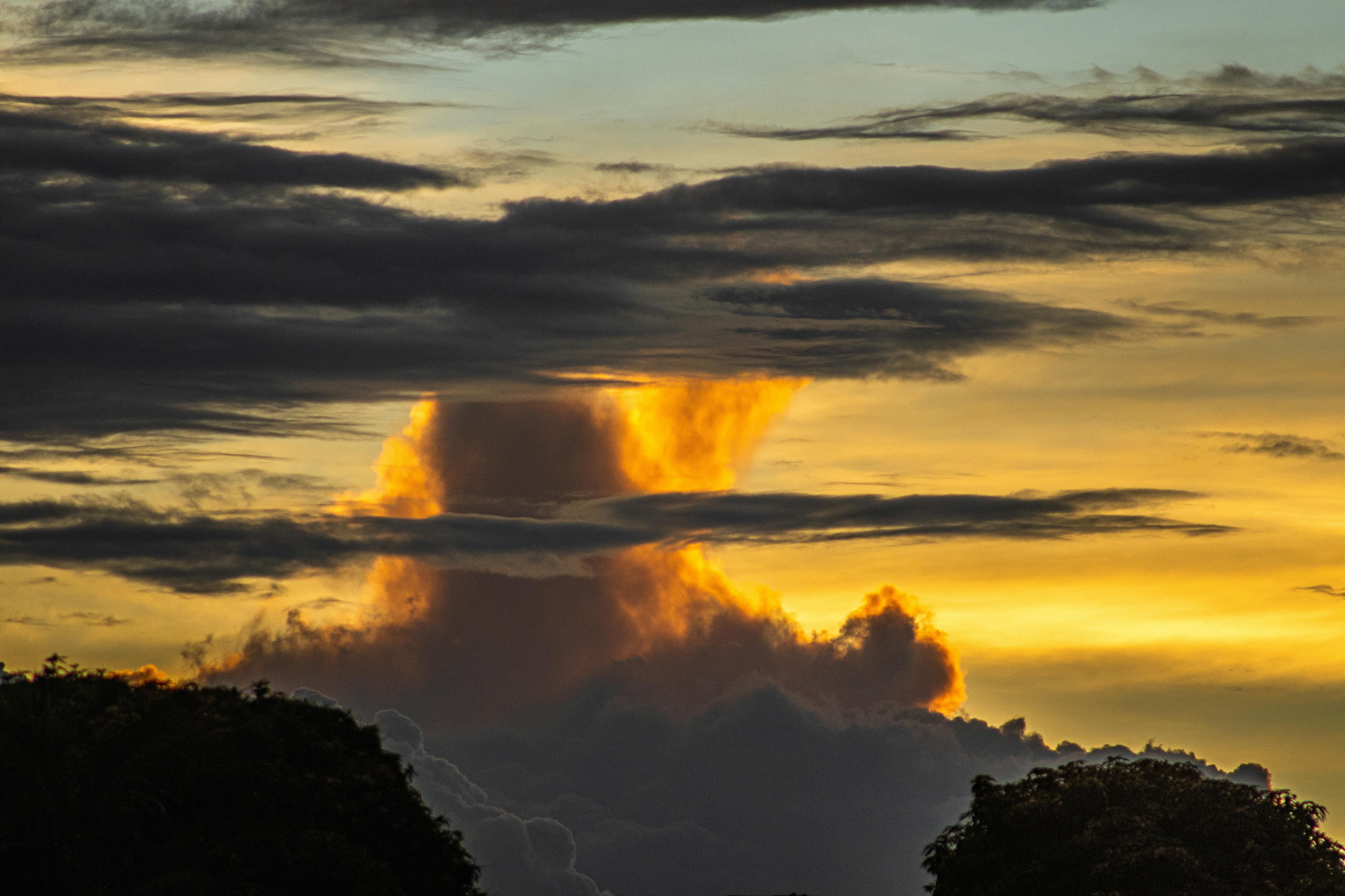 Sunset sky with clouds over trees · Free Stock Photo