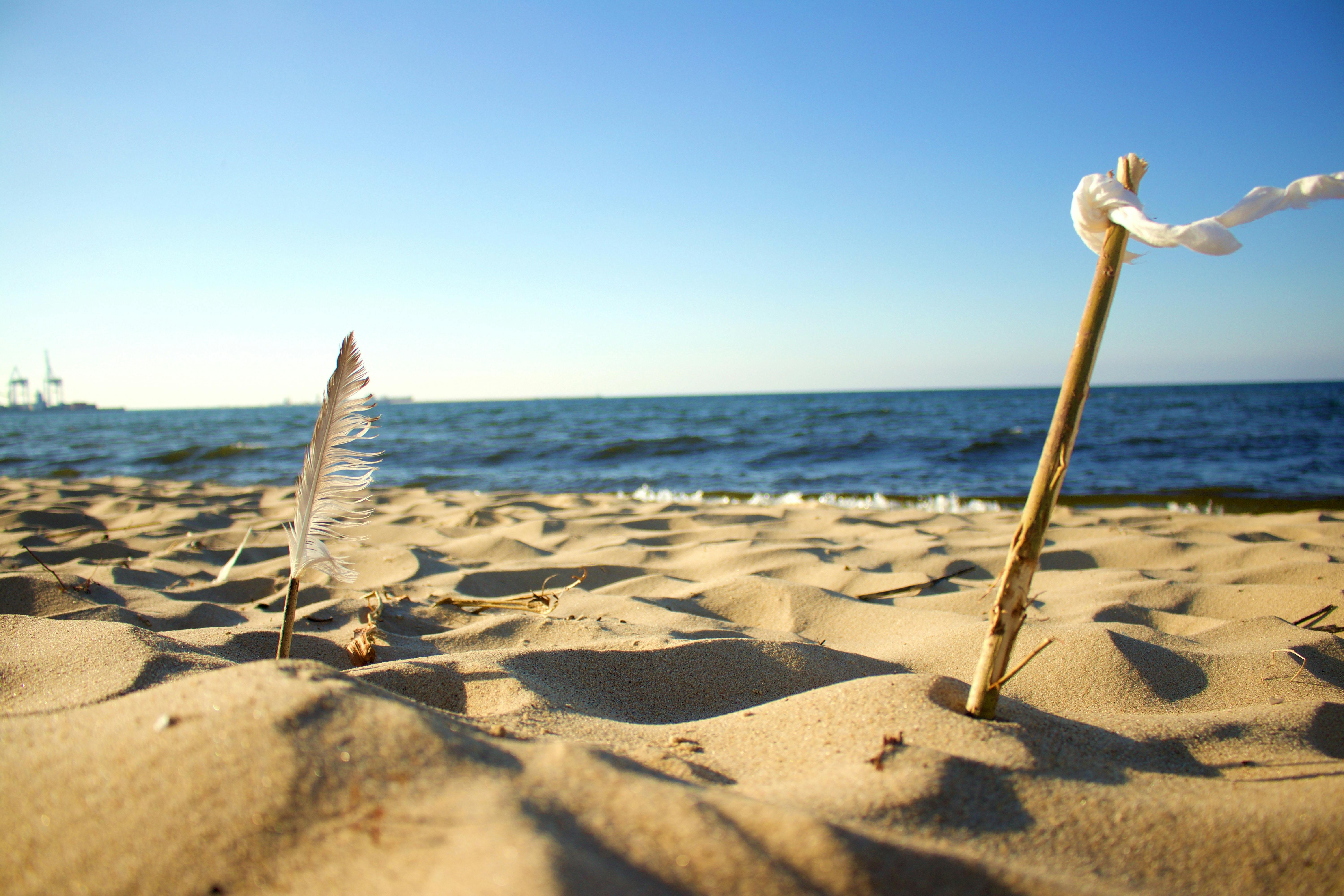 Feather in the Sand on a Beach · Free Stock Photo