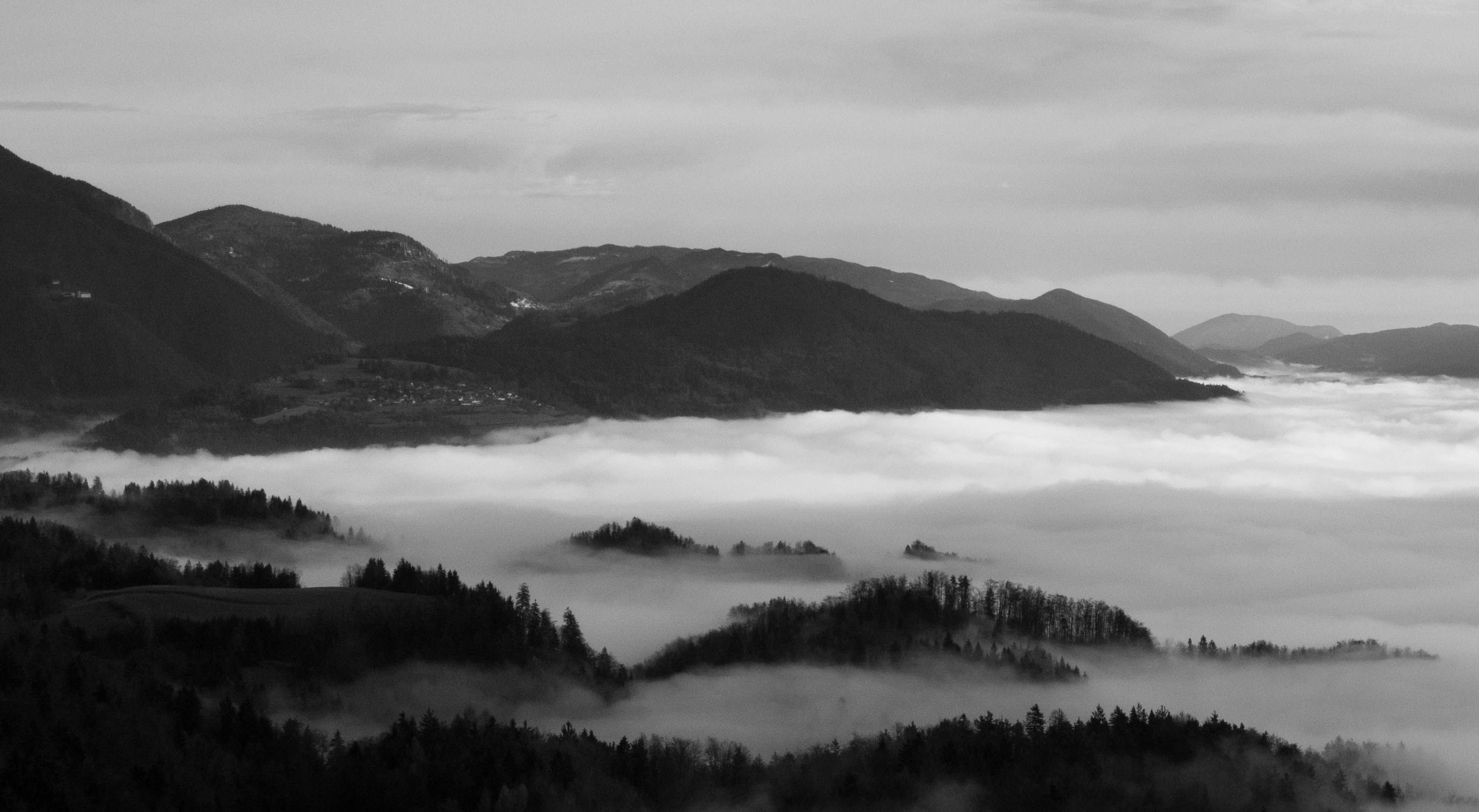 Grayscale Photo of Trees and Mountains · Free Stock Photo