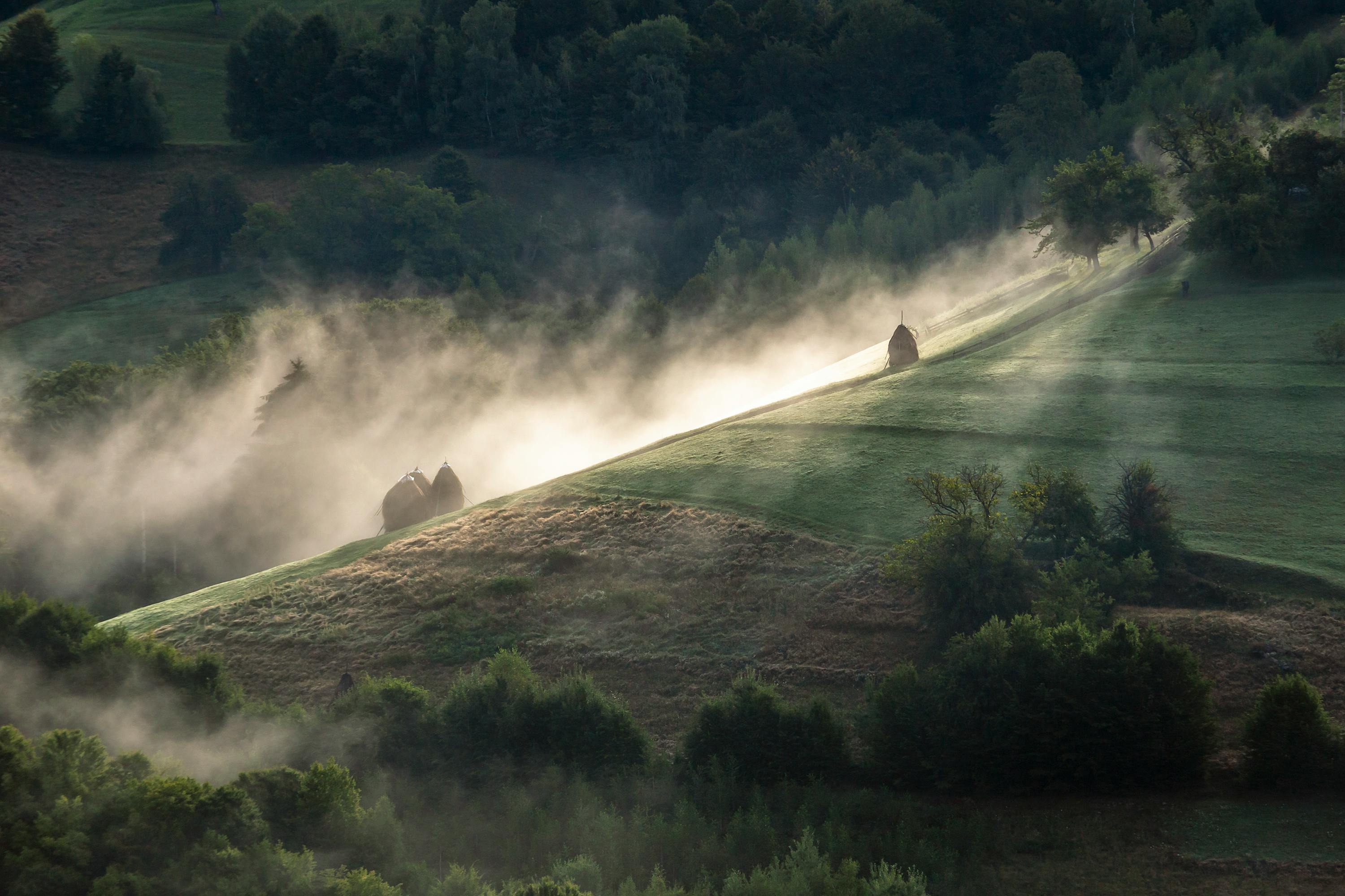 Fog over Field · Free Stock Photo