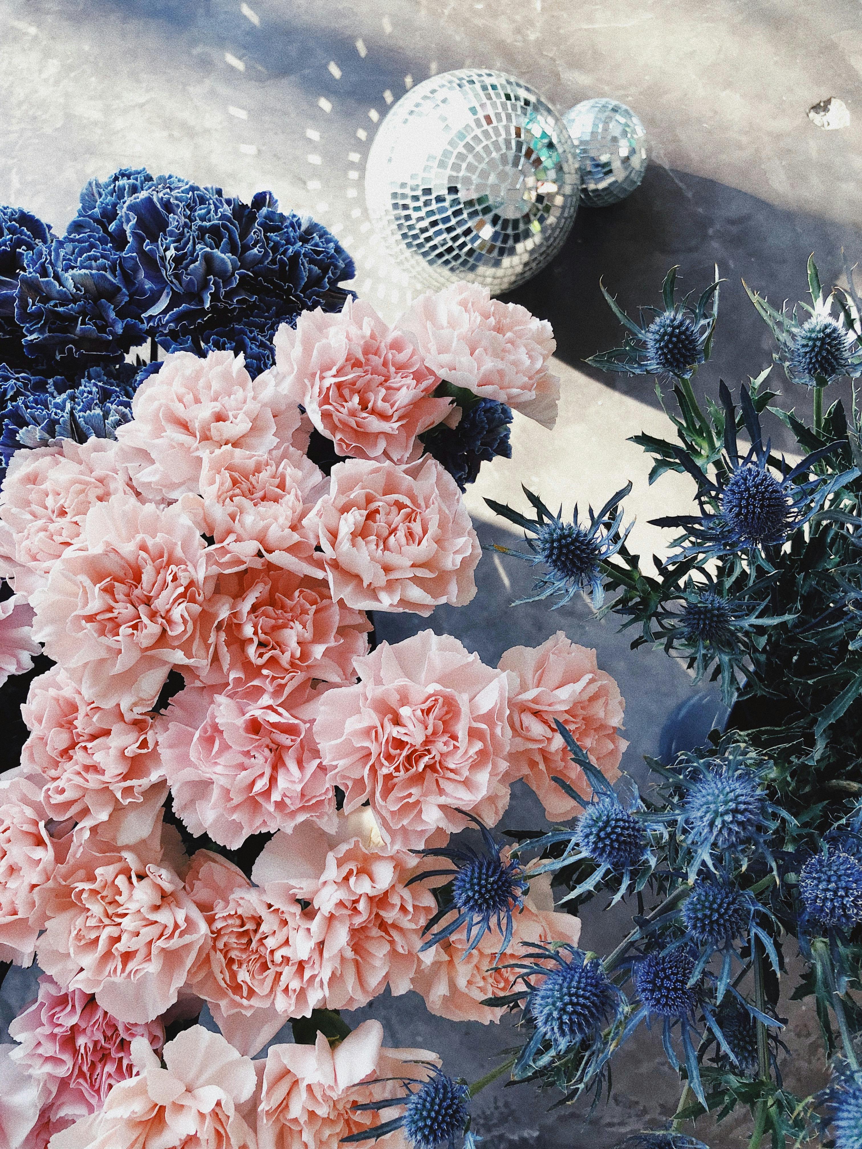 Pink Roses and Disco Ball · Free Stock Photo