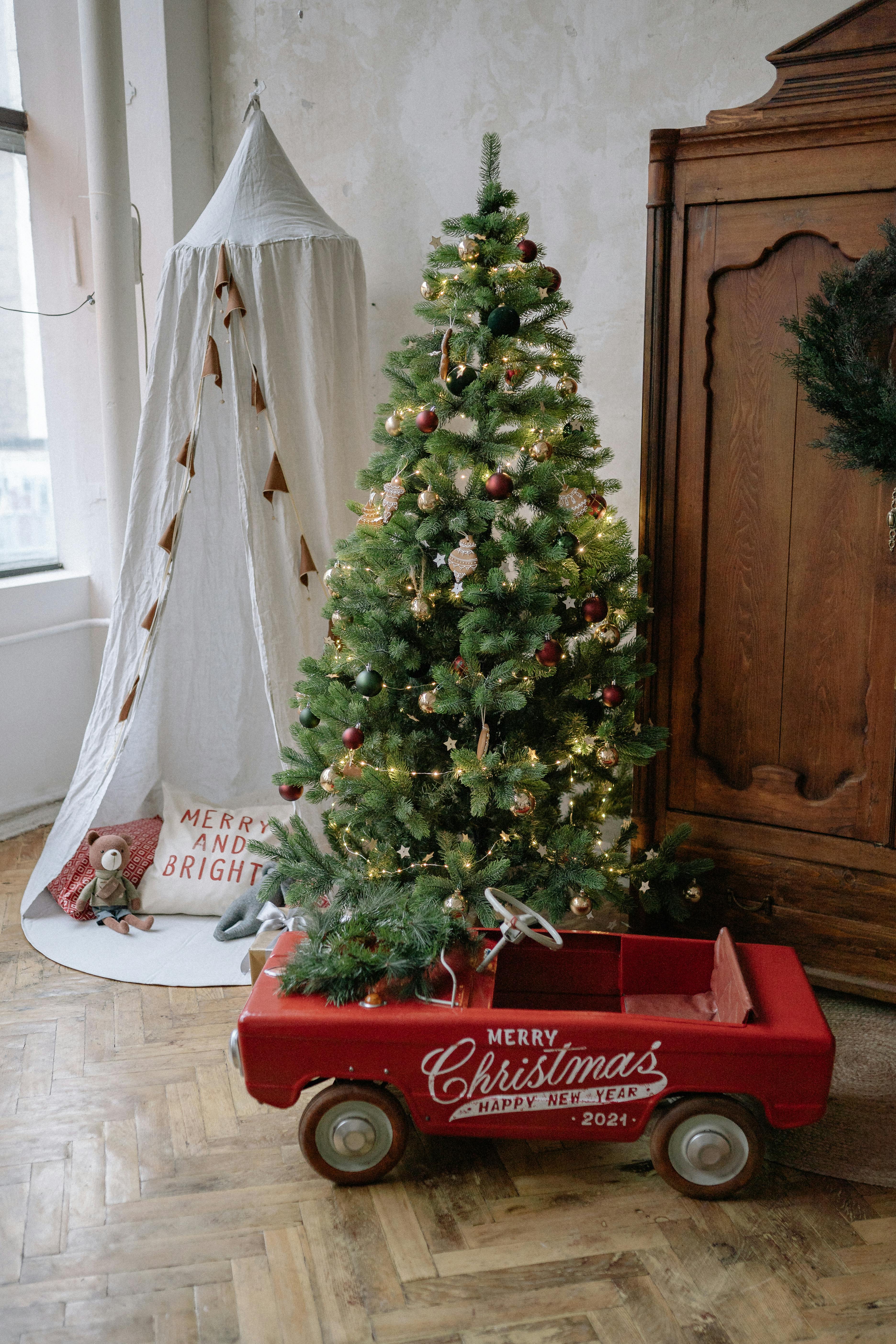 Christmas Trees · Pexels