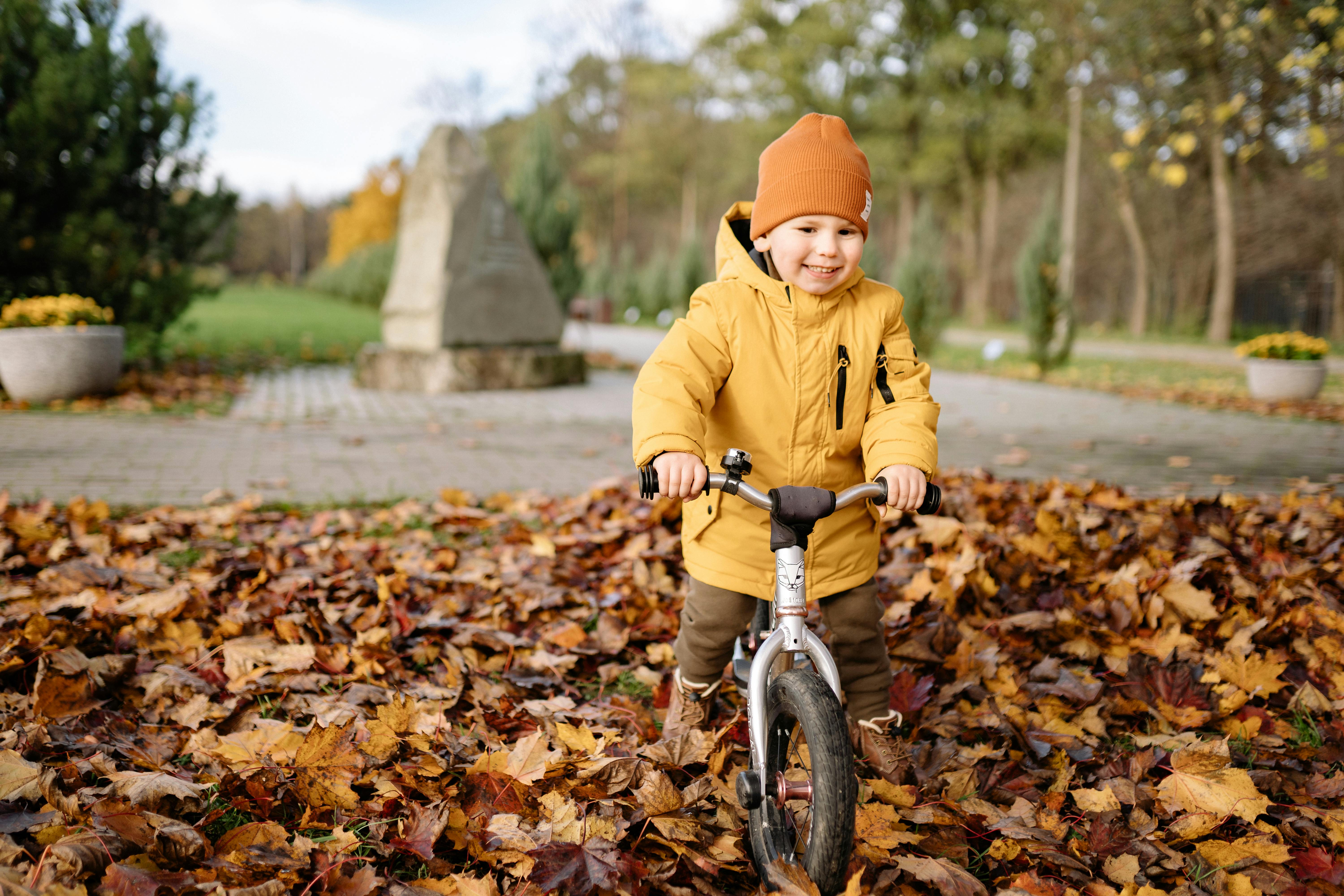 Boy Playing With Fall Leaves Outdoors · Free Stock Photo