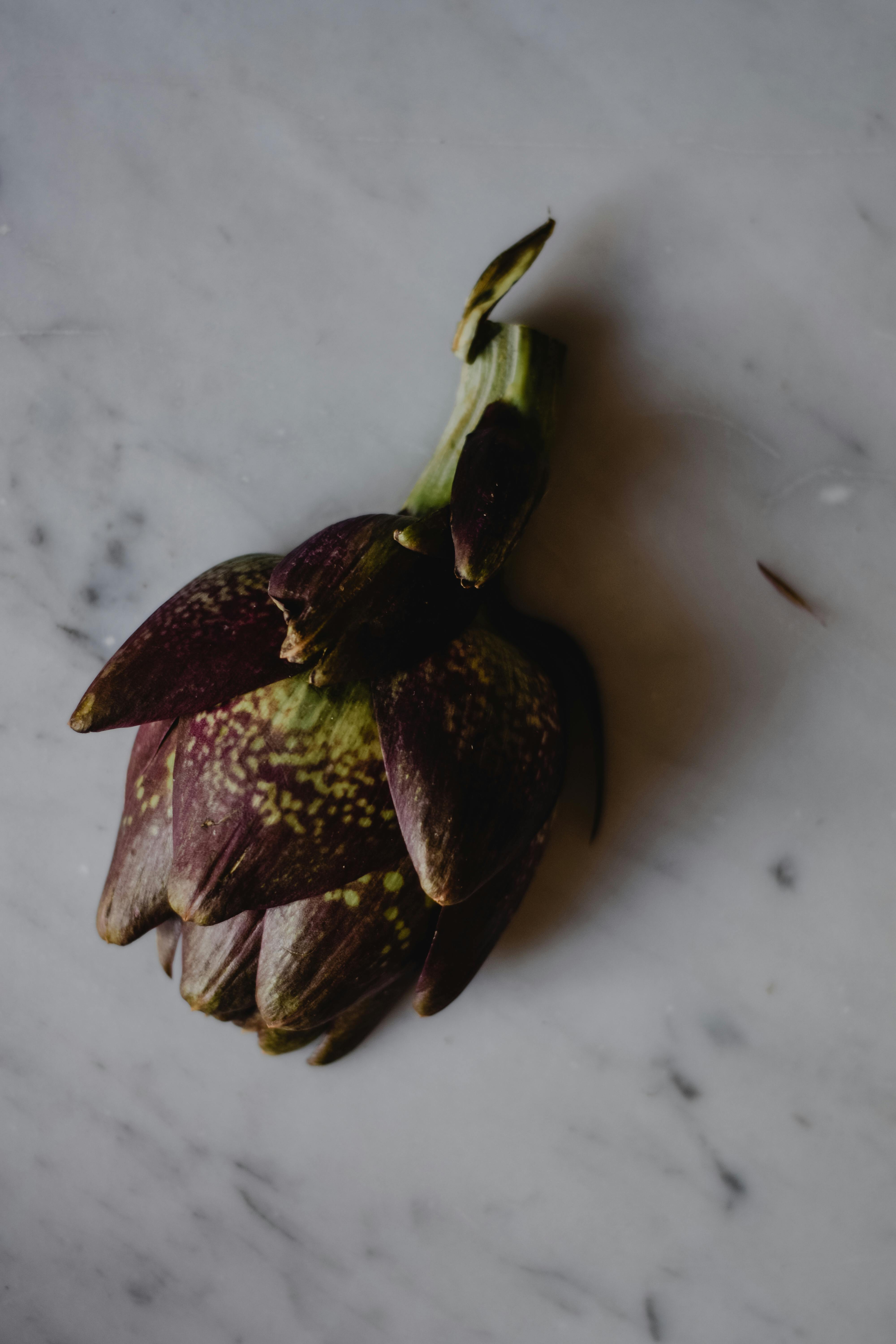 Rotting Food Photos, Download The BEST Free Rotting Food Stock Photos ...