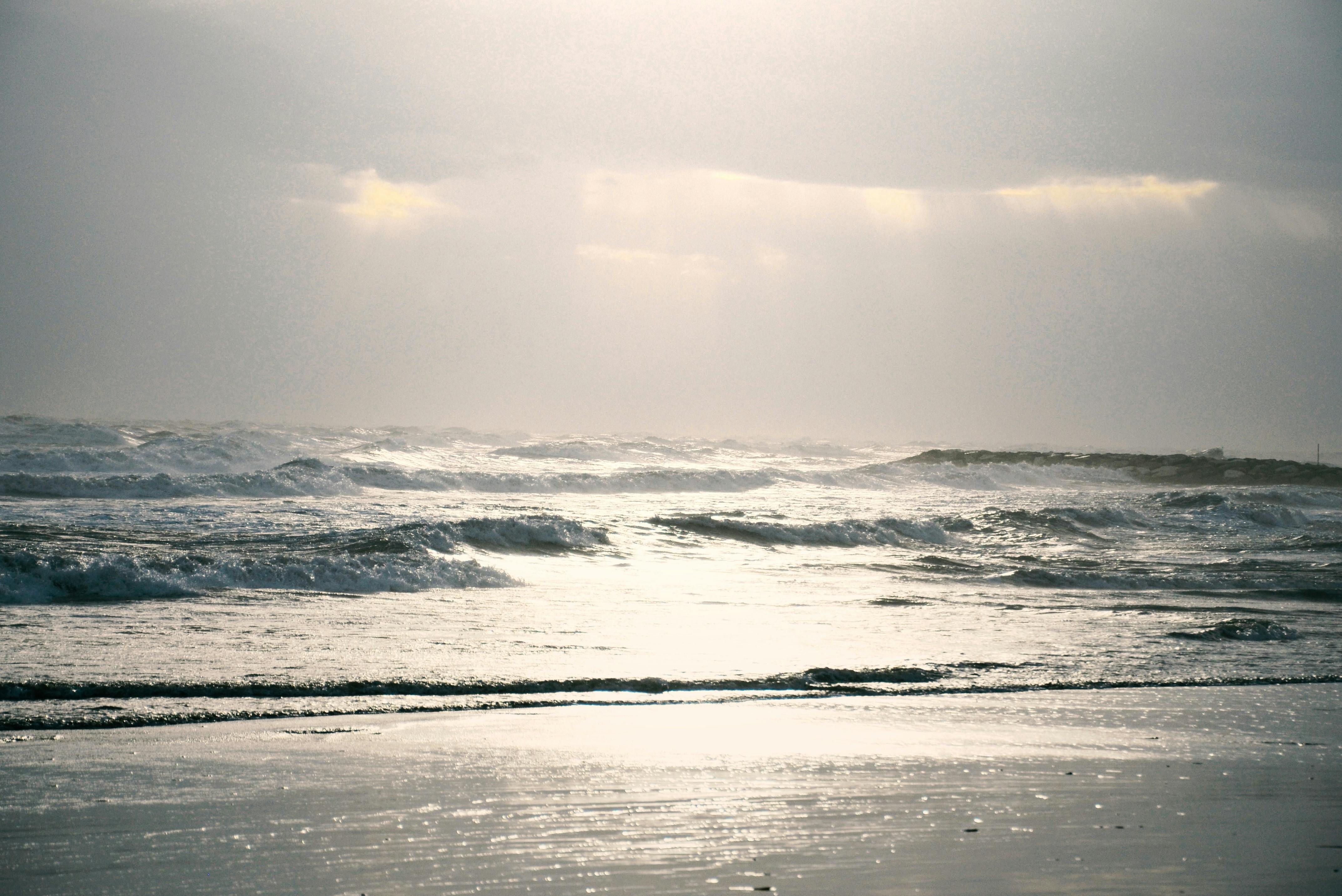 Waves Crashing on the Shore · Free Stock Photo
