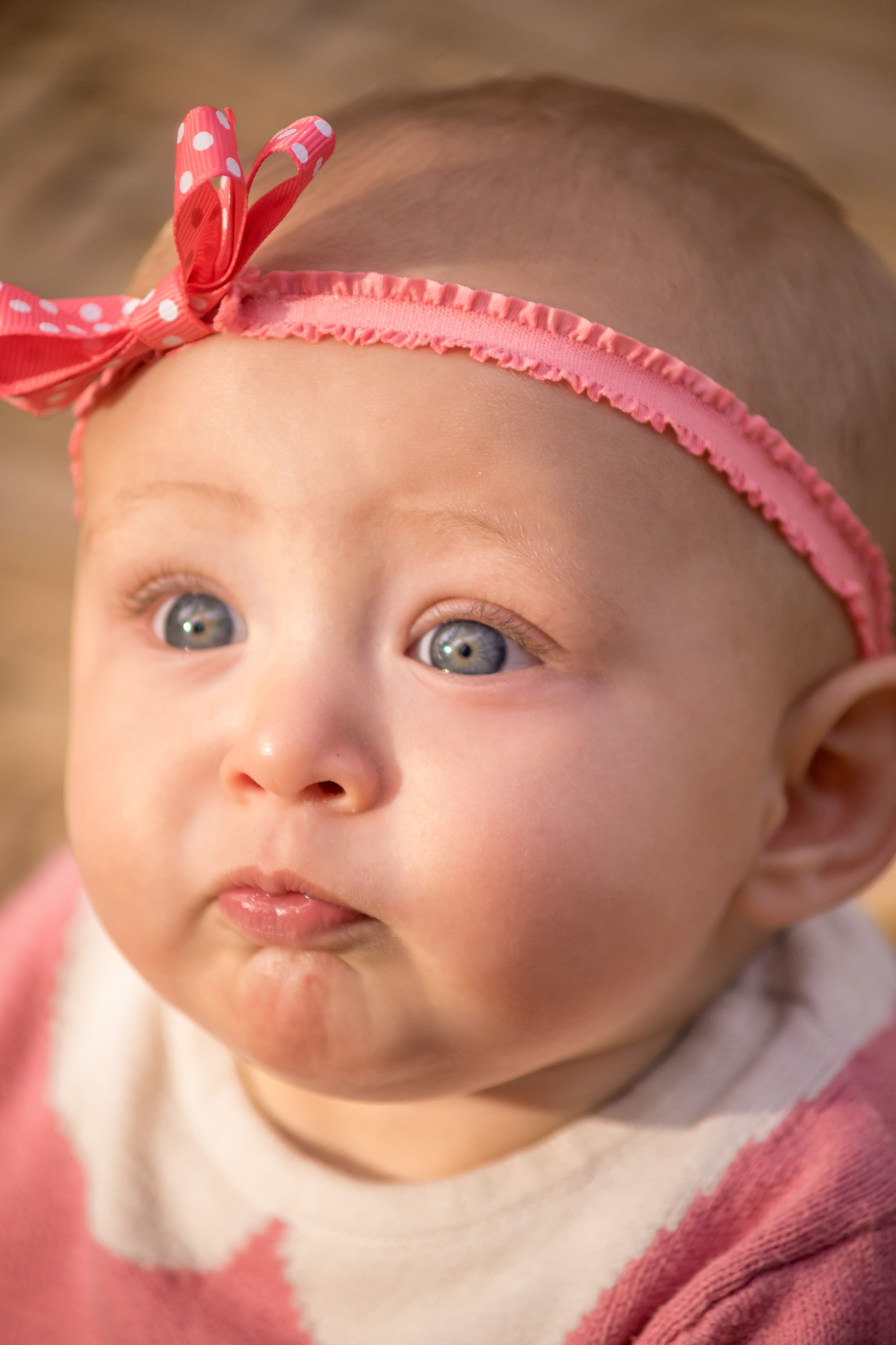 Cute Babies Photos, Download The BEST Free Cute Babies Stock Photos ...