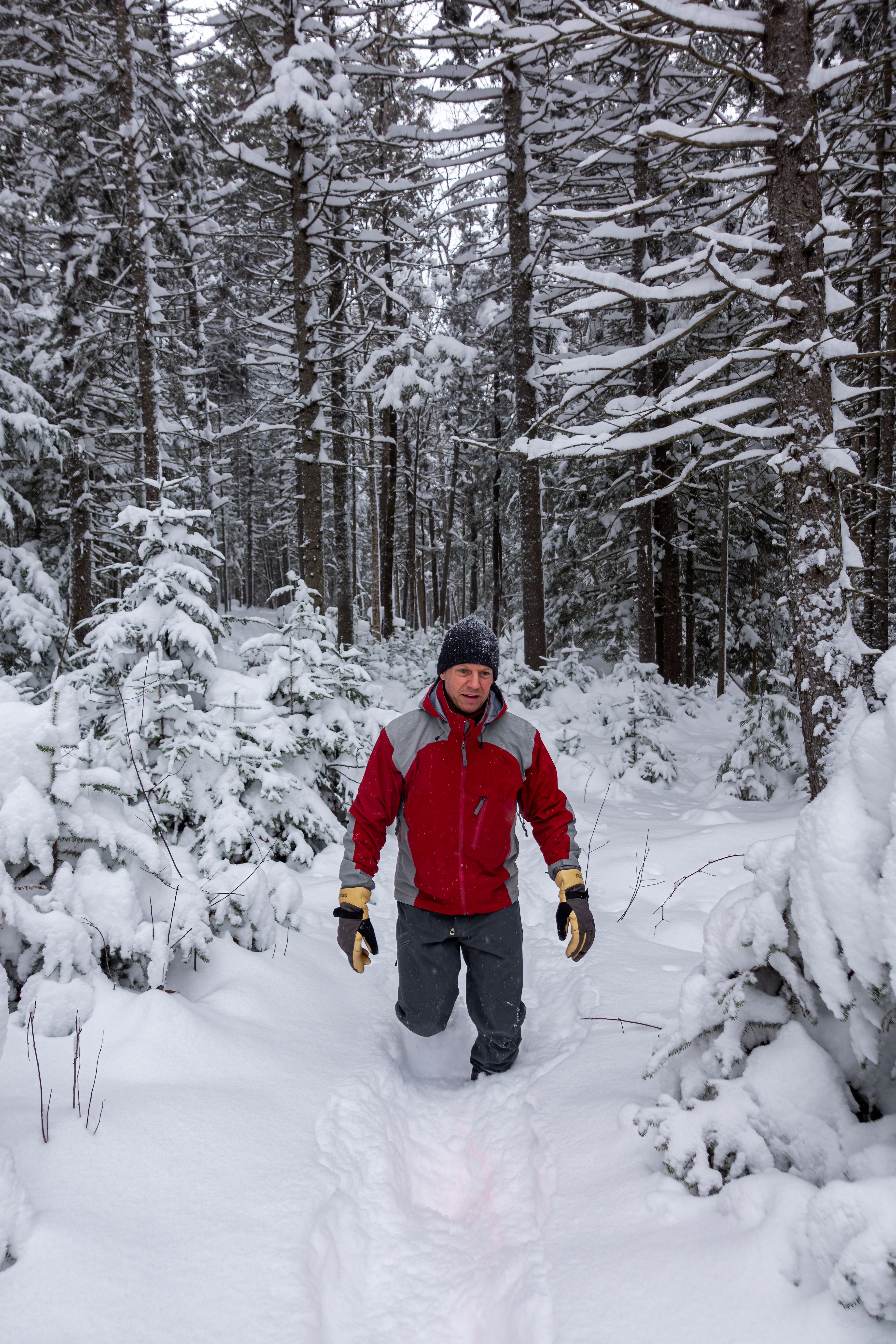 Man walking in snow in winter forest · Free Stock Photo