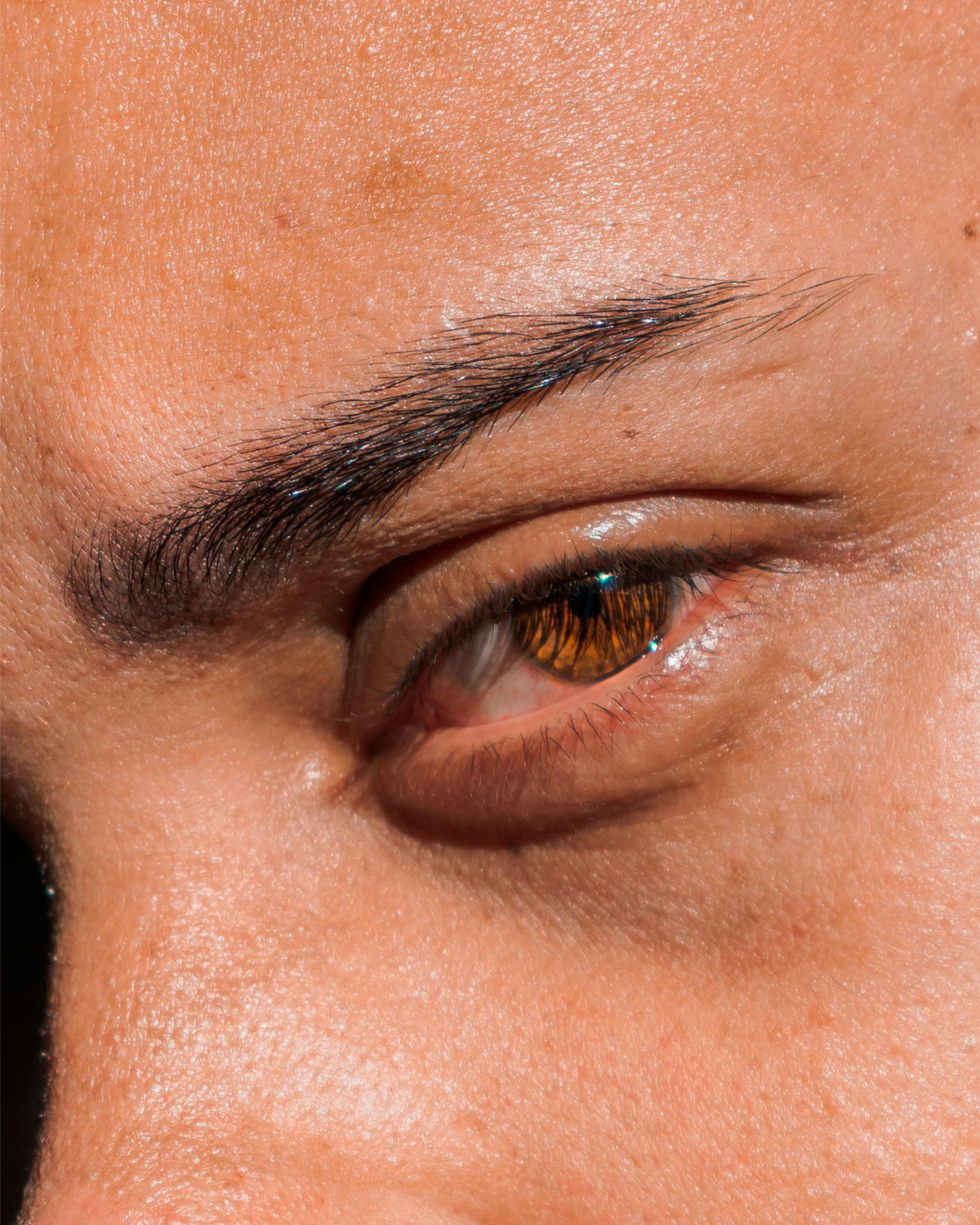 Close Up of Brown Eye · Free Stock Photo