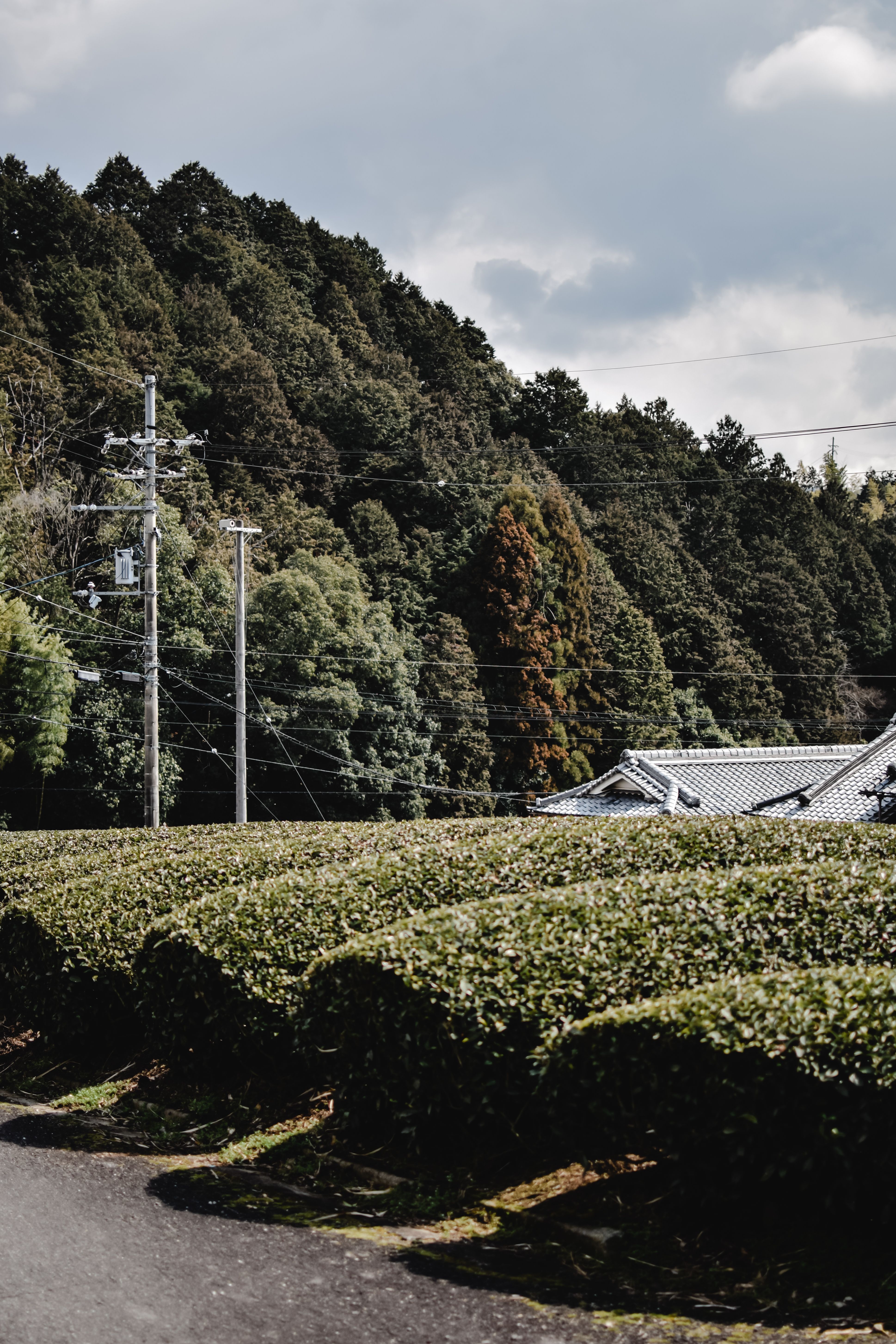 Power Lines in Countryside · Free Stock Photo