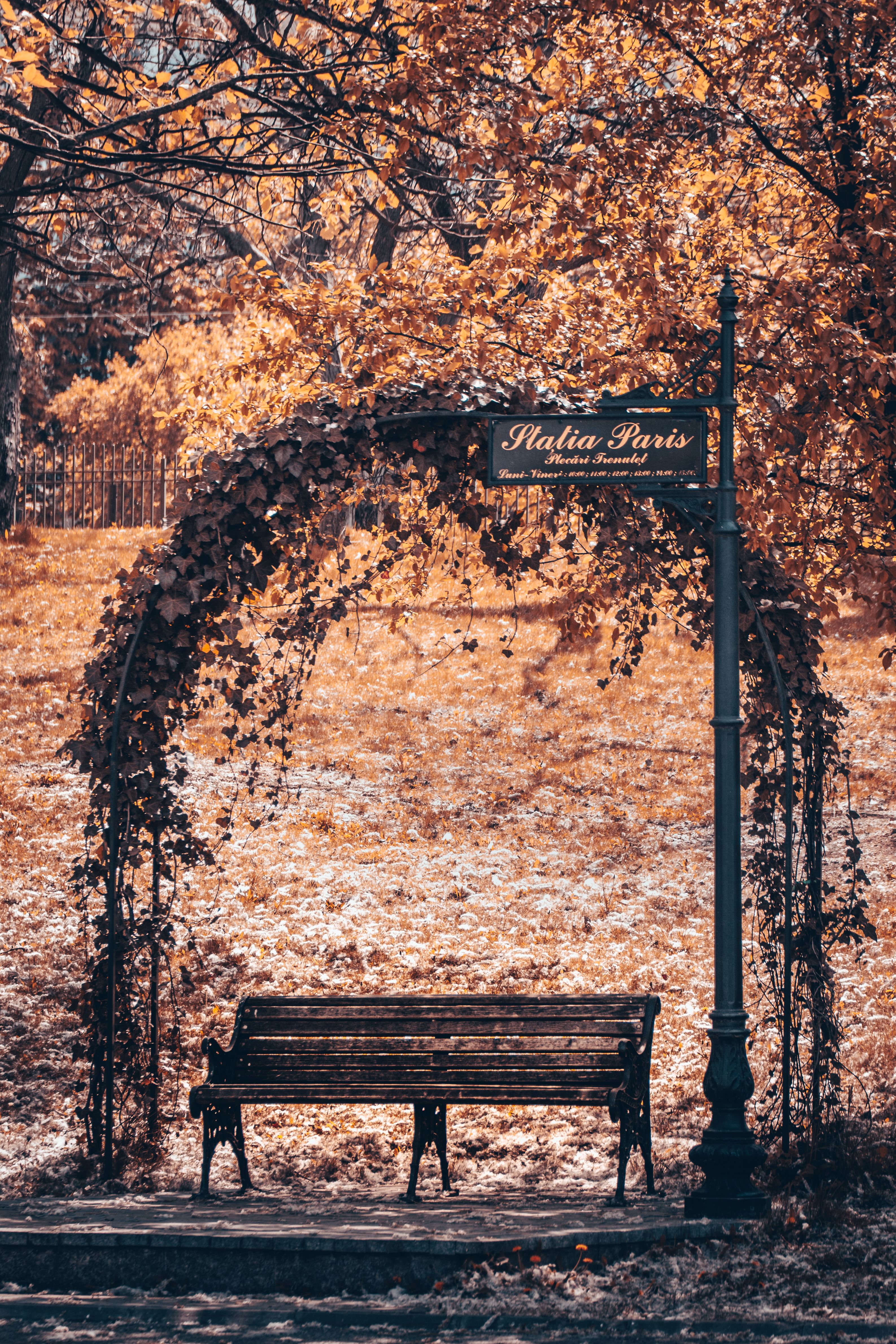 Decoration over Bench in Park in Autumn · Free Stock Photo