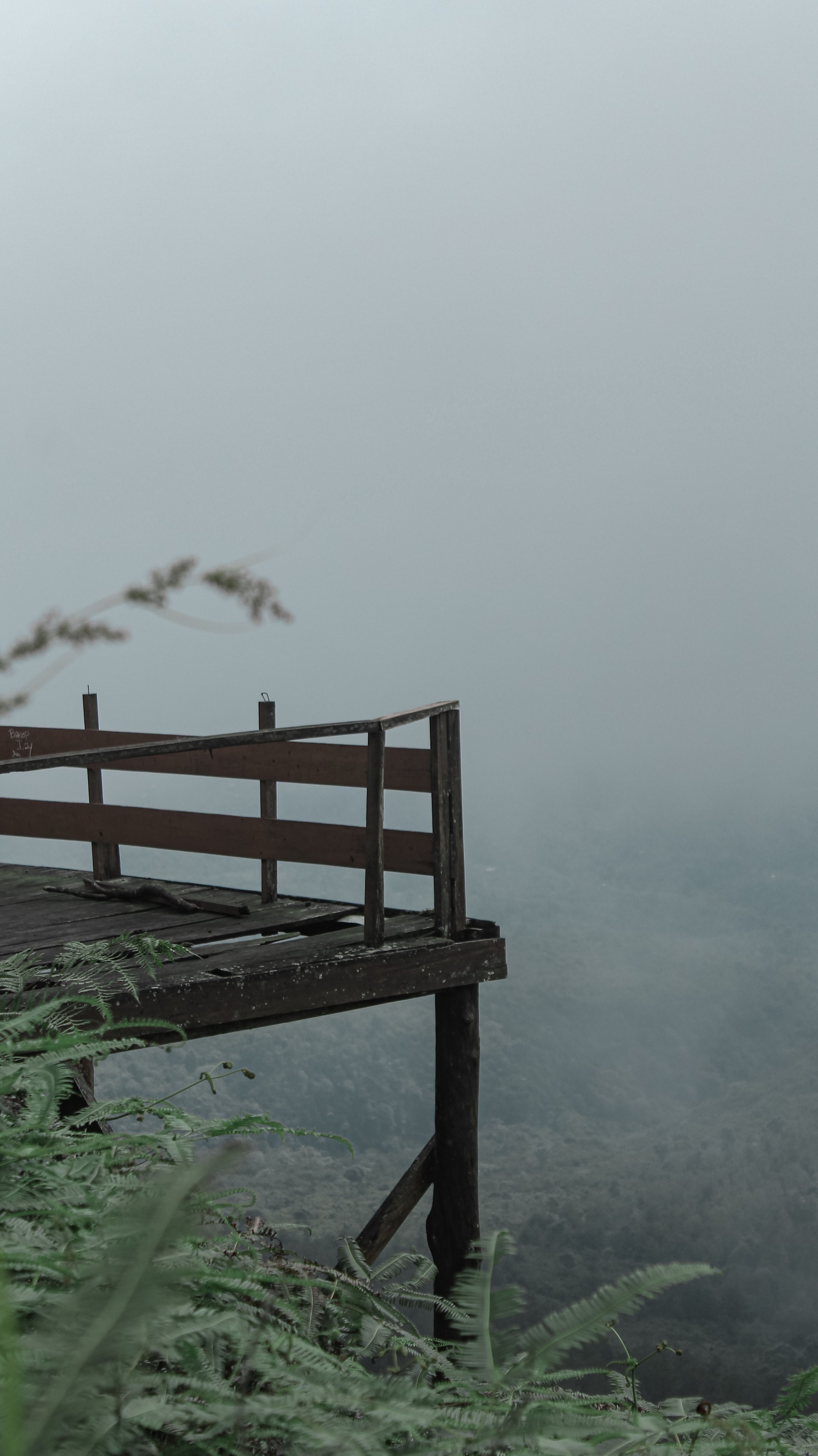 A Photo of a Wooden Dock Near Green Plants · Free Stock Photo