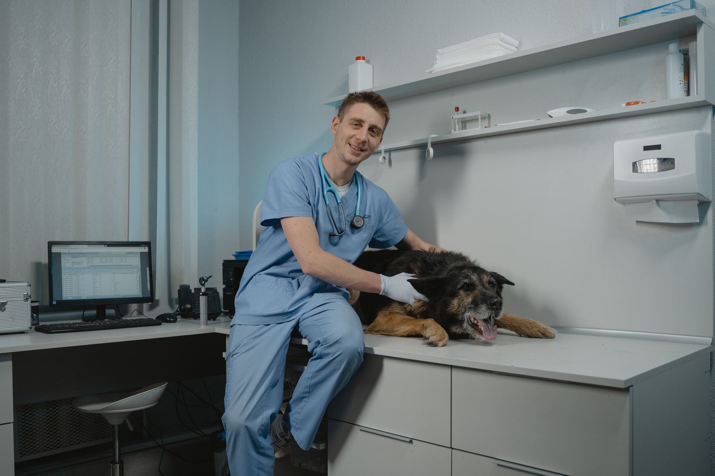 Leading the Pack: Top Largest Veterinary Companies Today