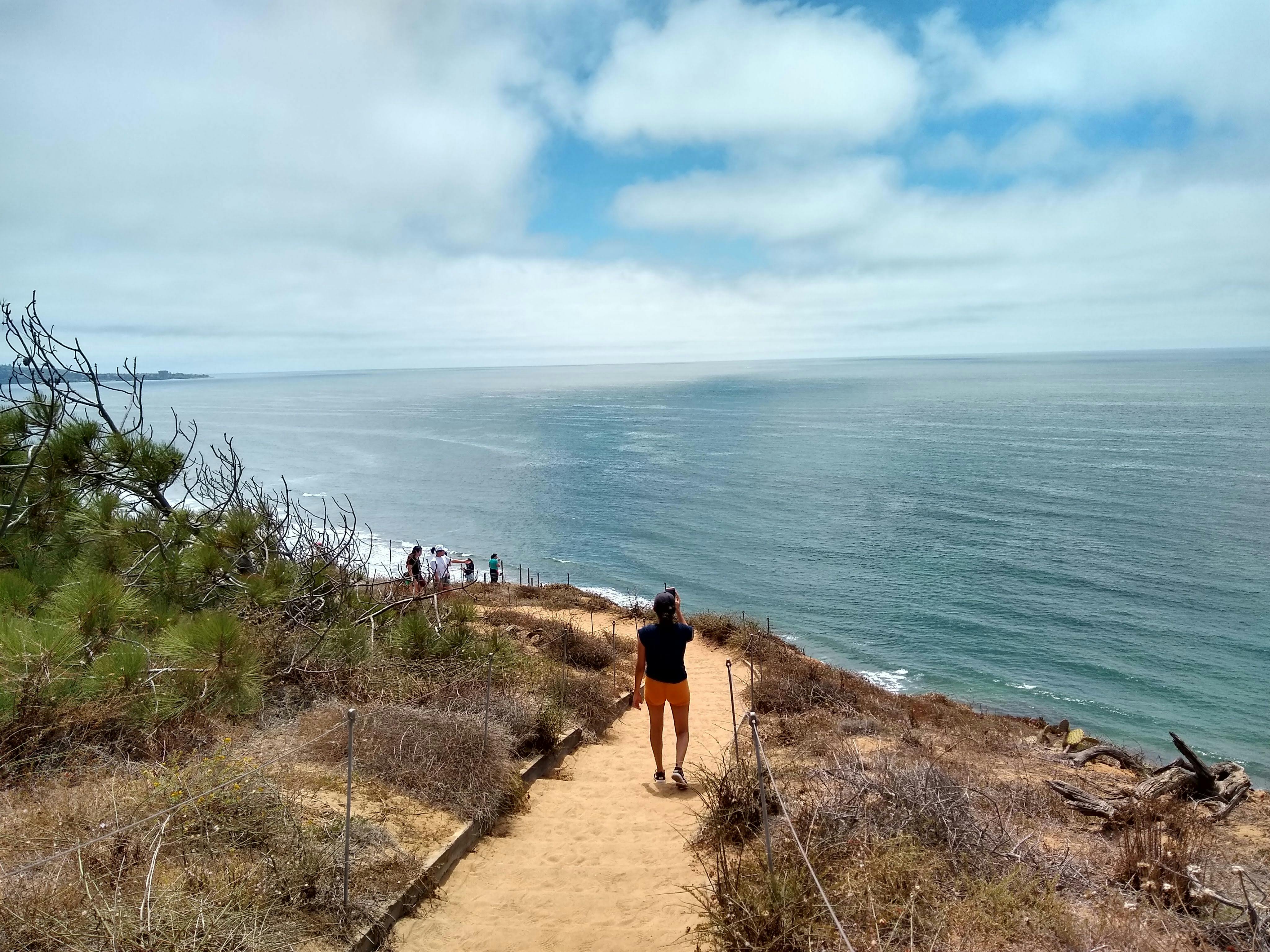 Tyler Valentine - 攝影