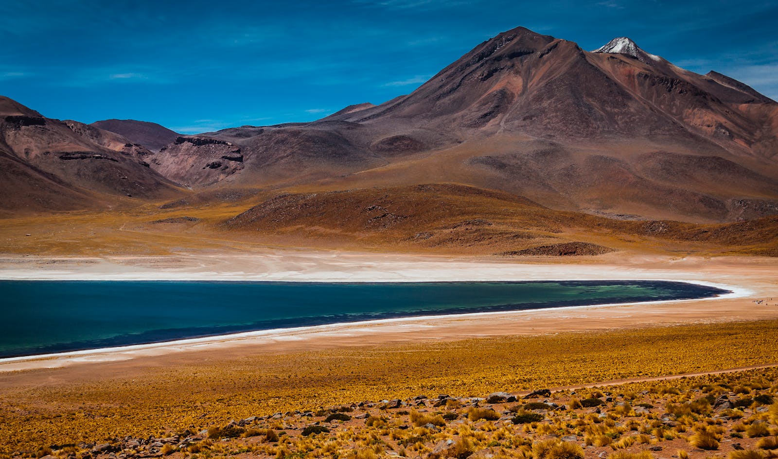 Pexels Hd Wallpaper Photos, Download The BEST Free Pexels Hd Wallpaper ...