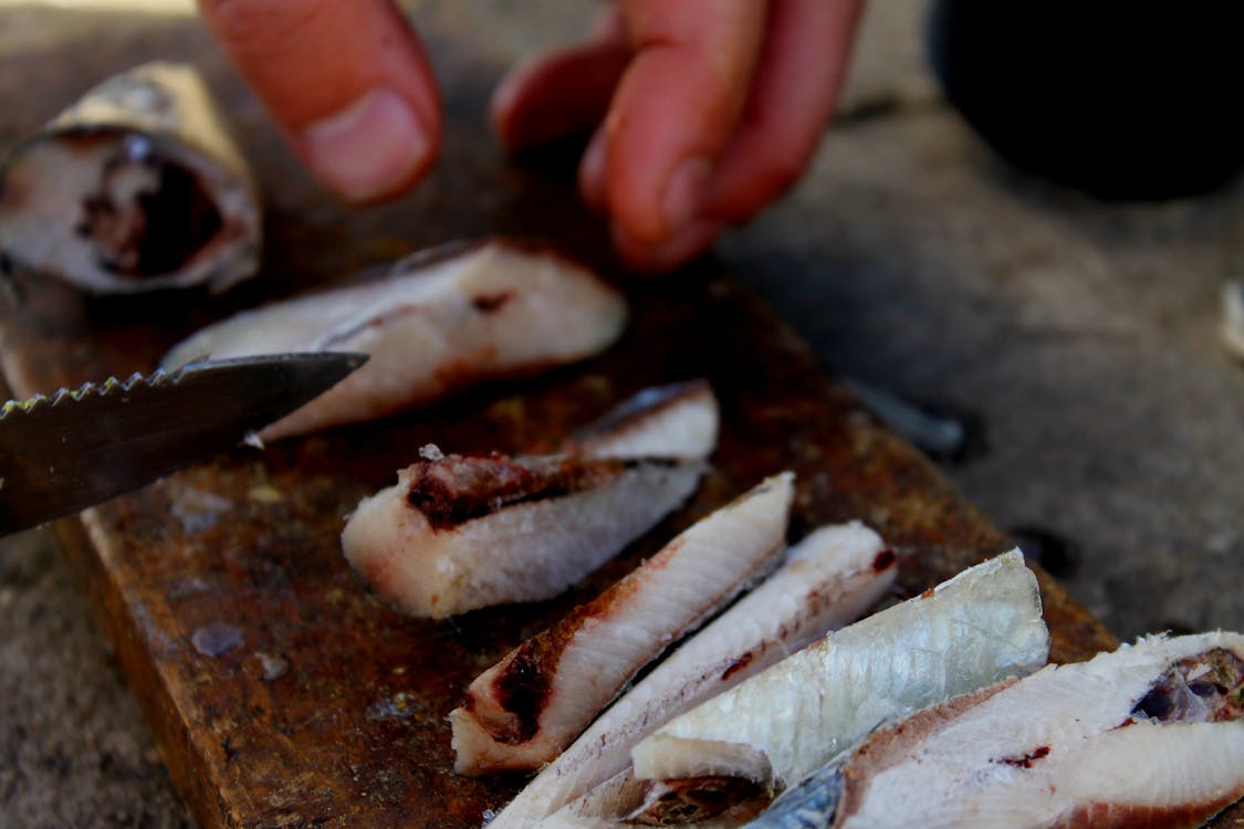 Free stock photo of fishing bait pilchards Free stock photo of fishing bait pilchards