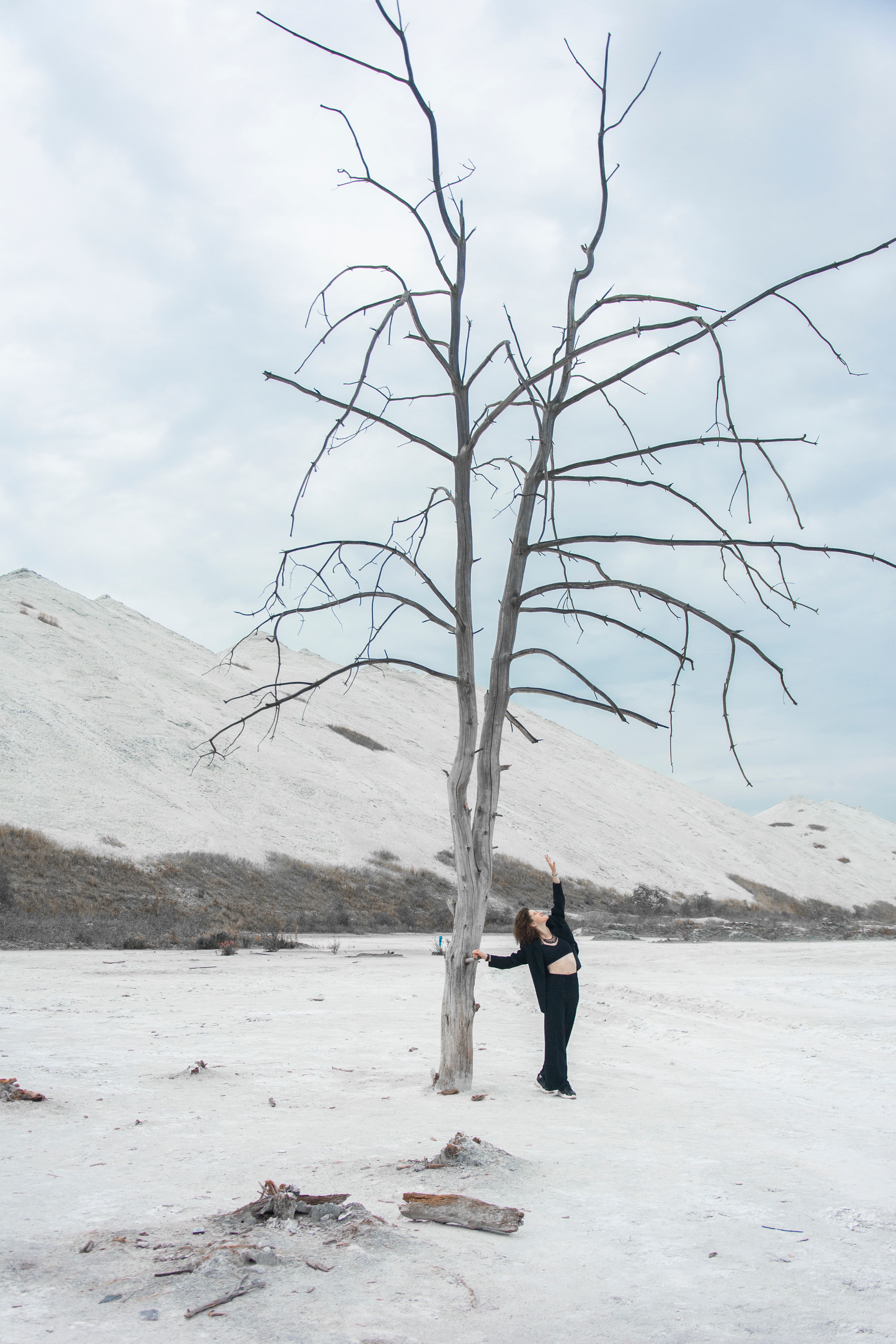 Photo of a Woman Posing Beside a Dead Tree · Free Stock Photo