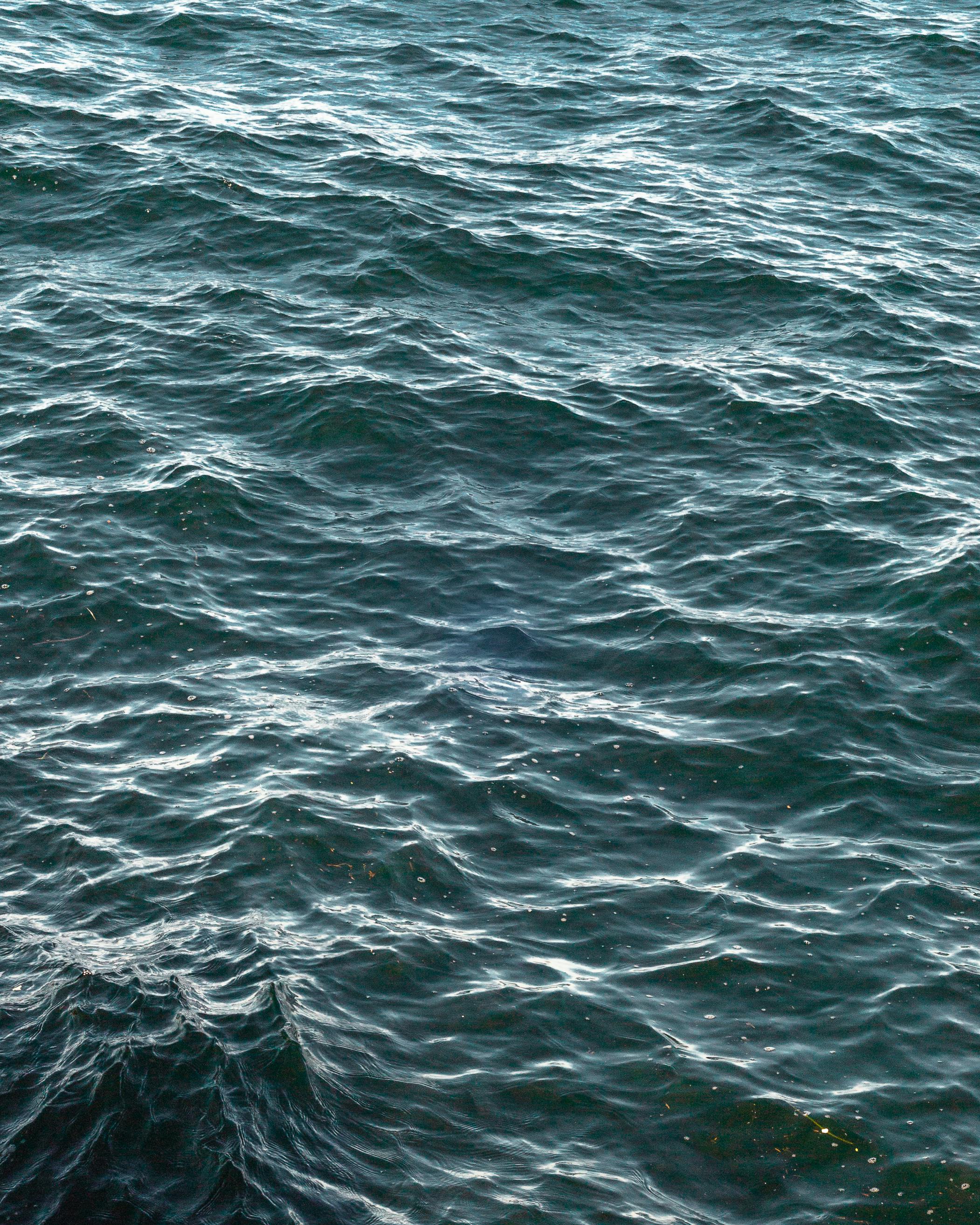 Body of Water in Close Up Photography · Free Stock Photo