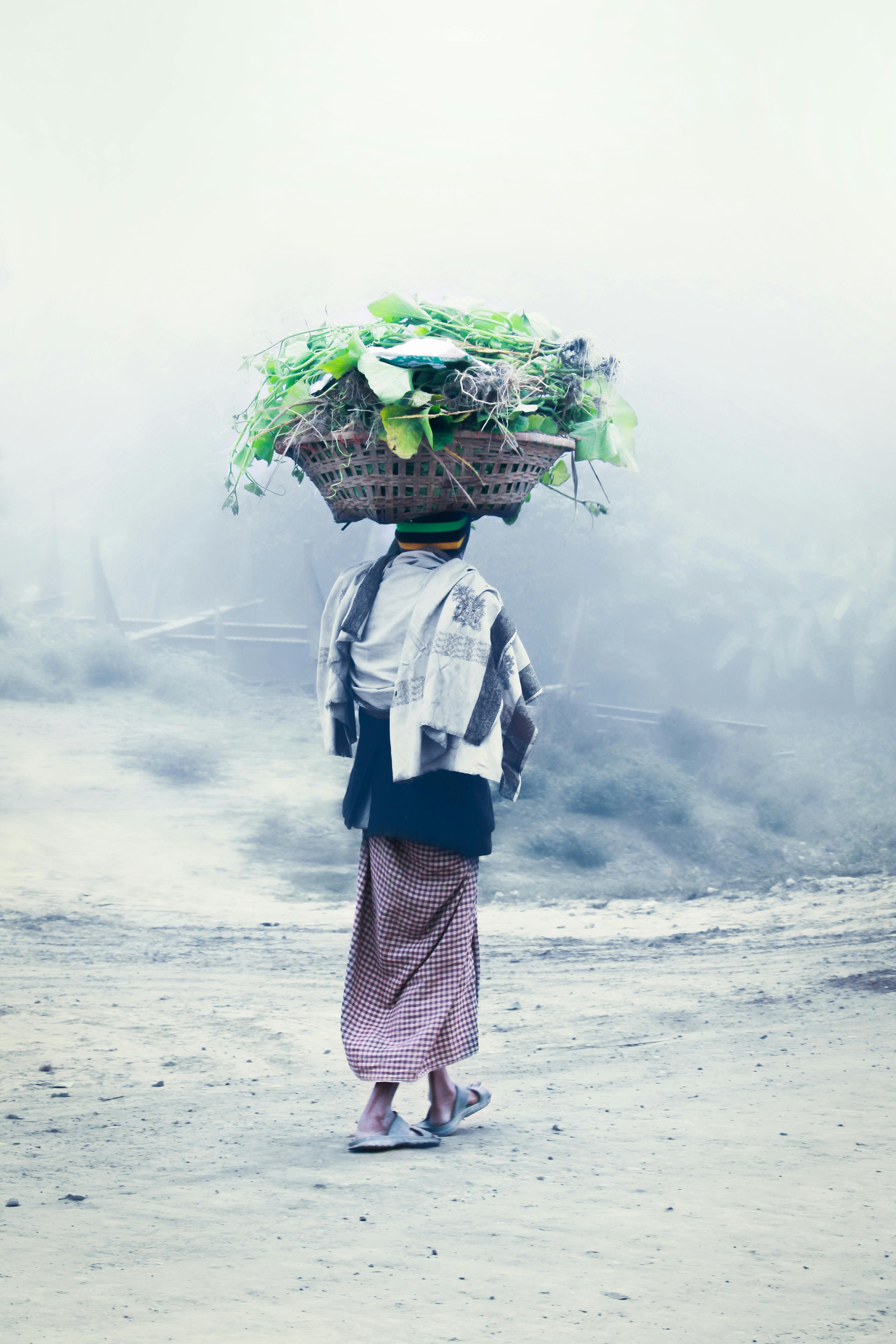 Man Carrying Basket with Food on Head · Free Stock Photo