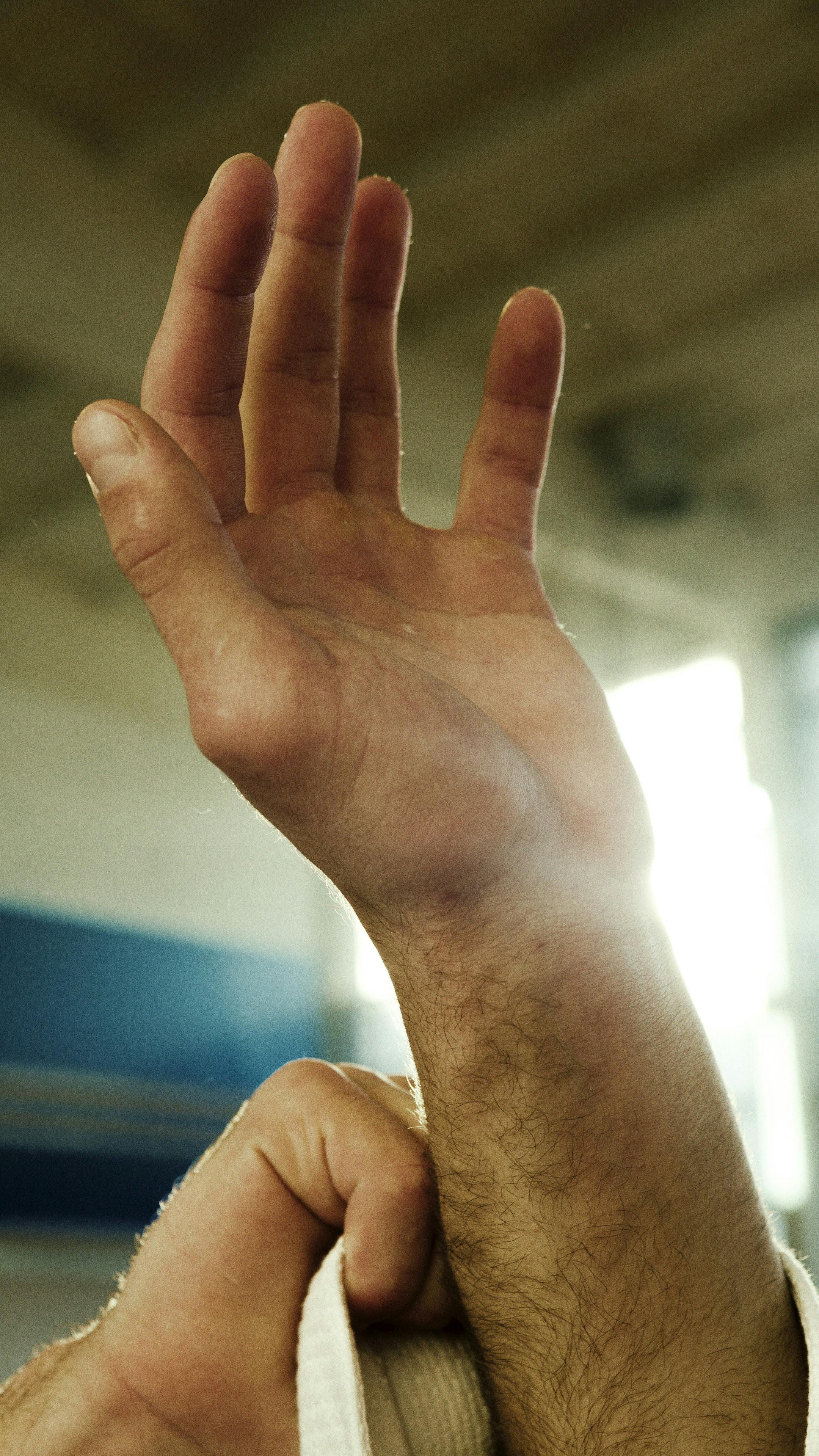 Close-up Shot of a Hand · Free Stock Photo