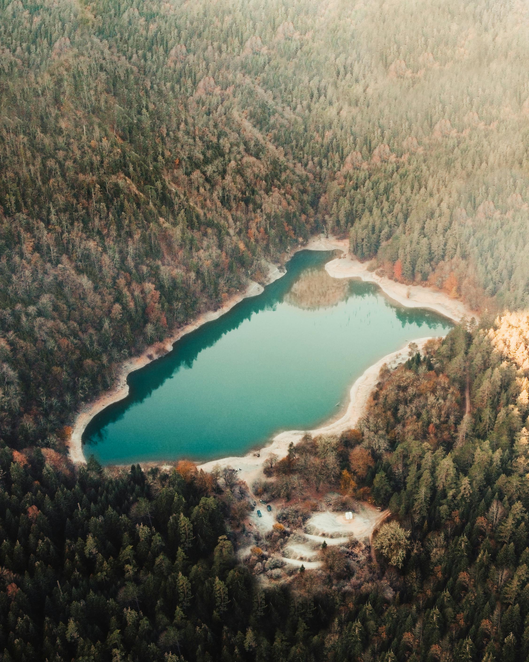 Forest and Lake Near the Roundabout Road · Free Stock Photo