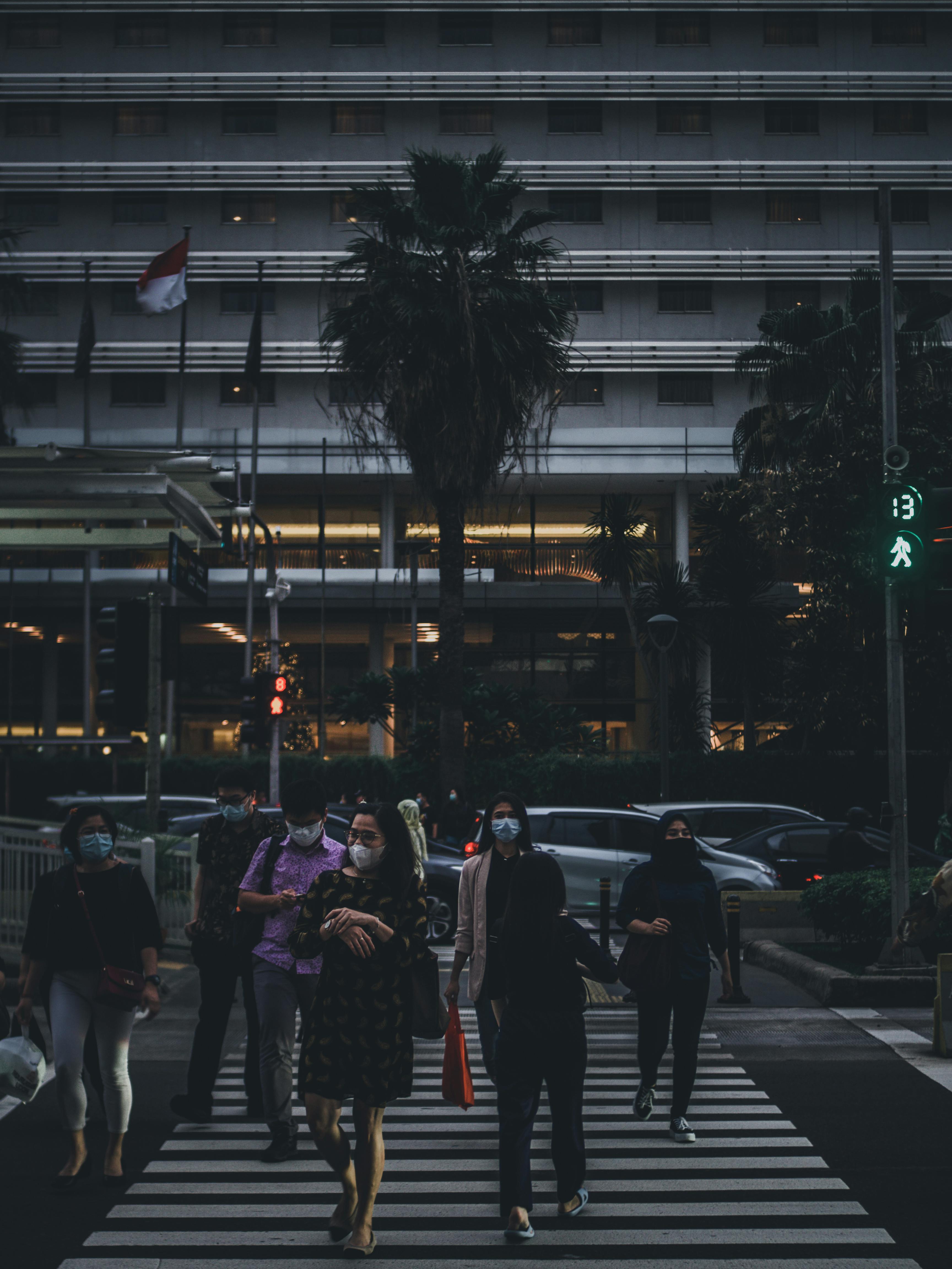People Walking on Pedestrian Lane · Free Stock Photo