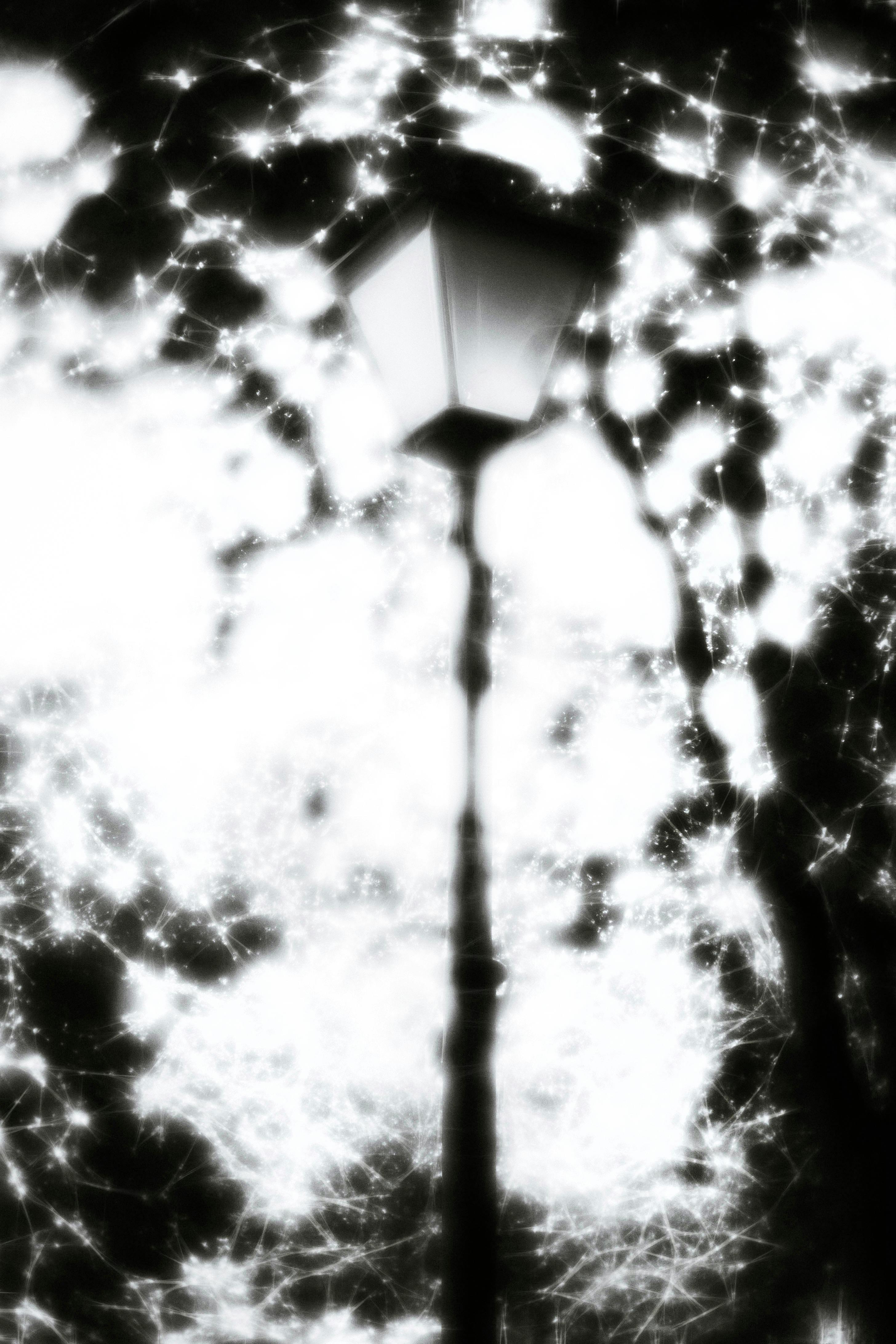 Lighted Street Lamp Post during Night Time · Free Stock Photo