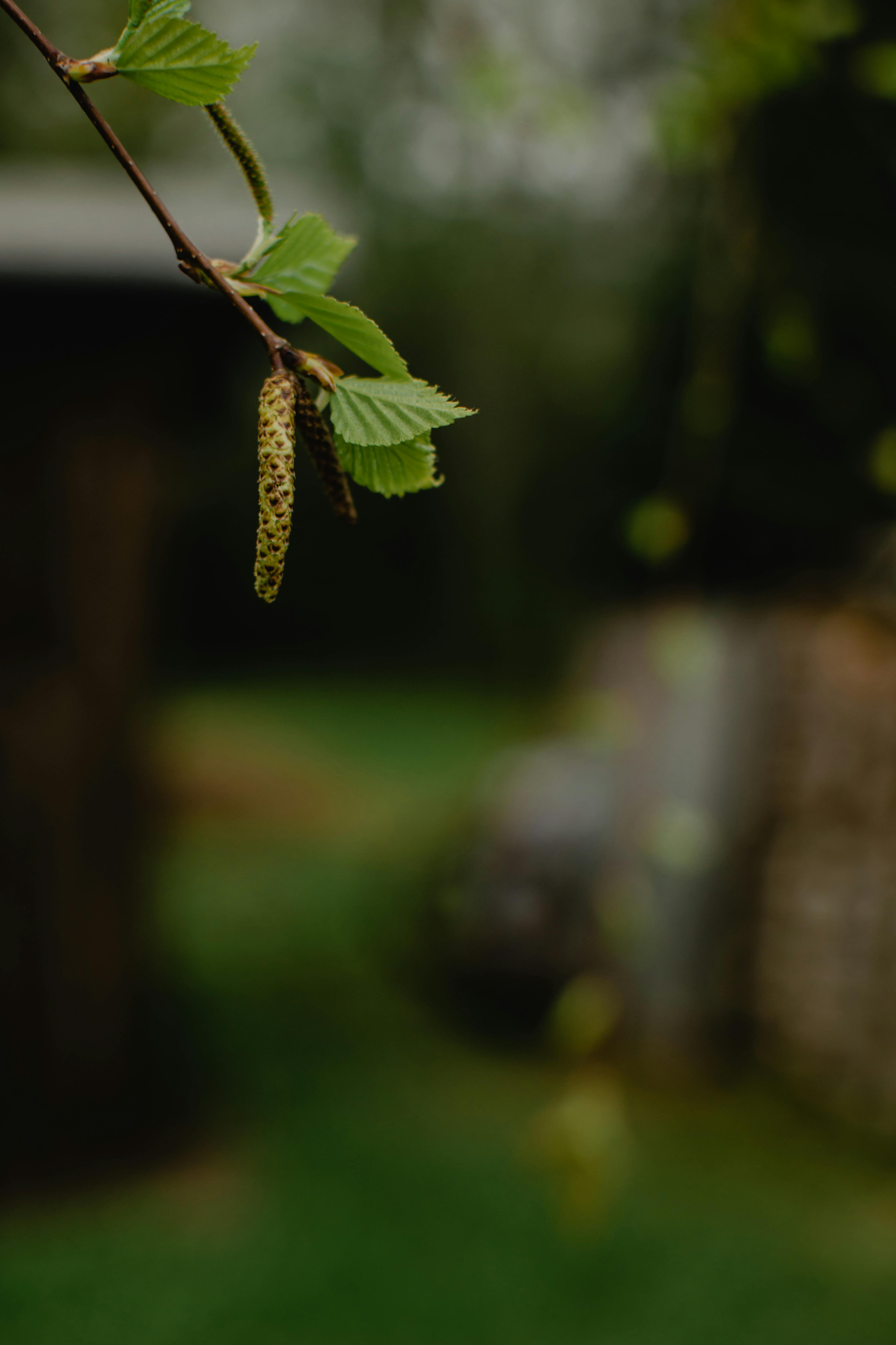 Non Distracting Background Photos, Download The BEST Free Non ...