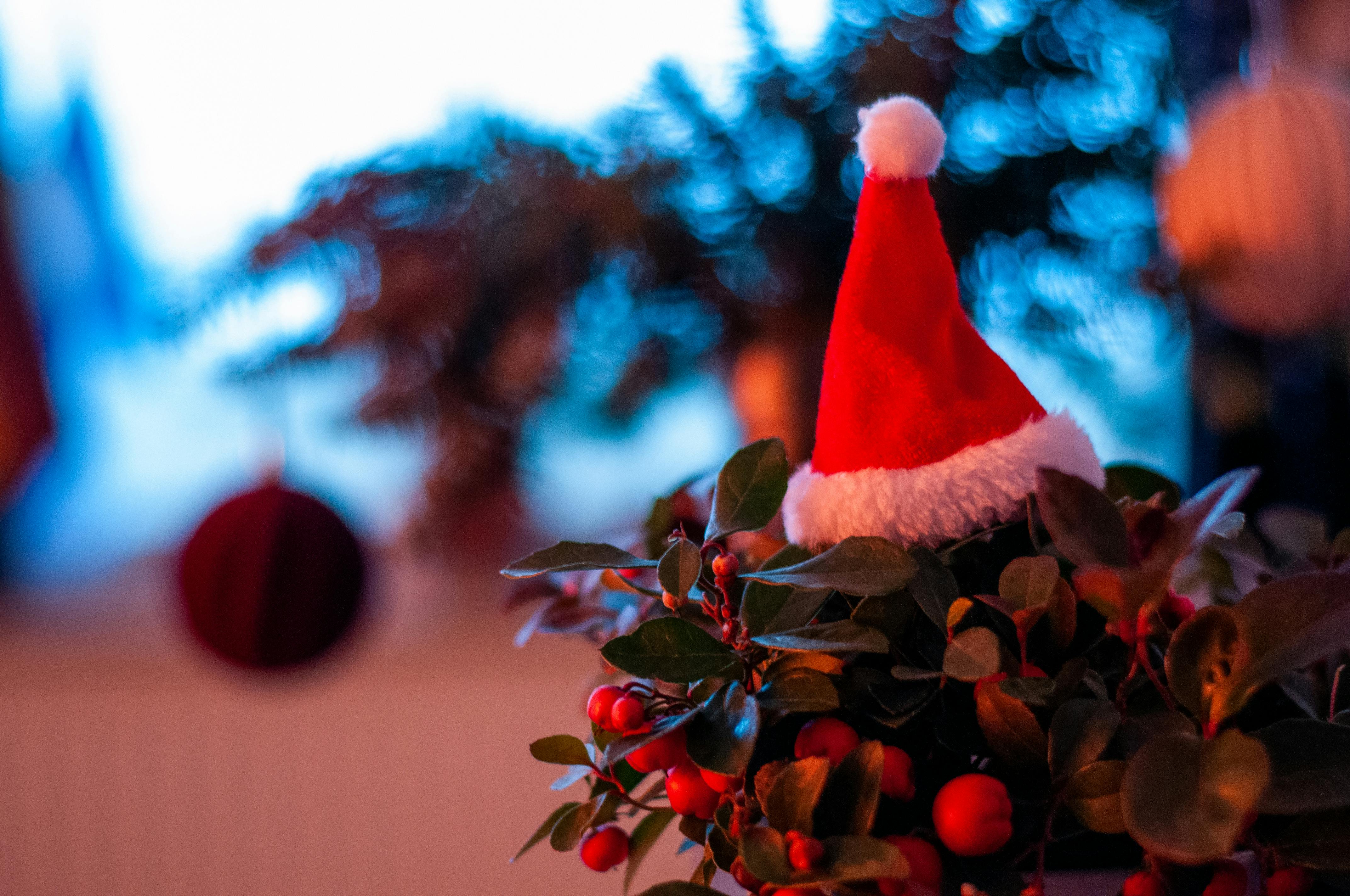 A Doll Wearing Santa Hat Throwing Up in a Toilet Bowl · Free Stock Photo
