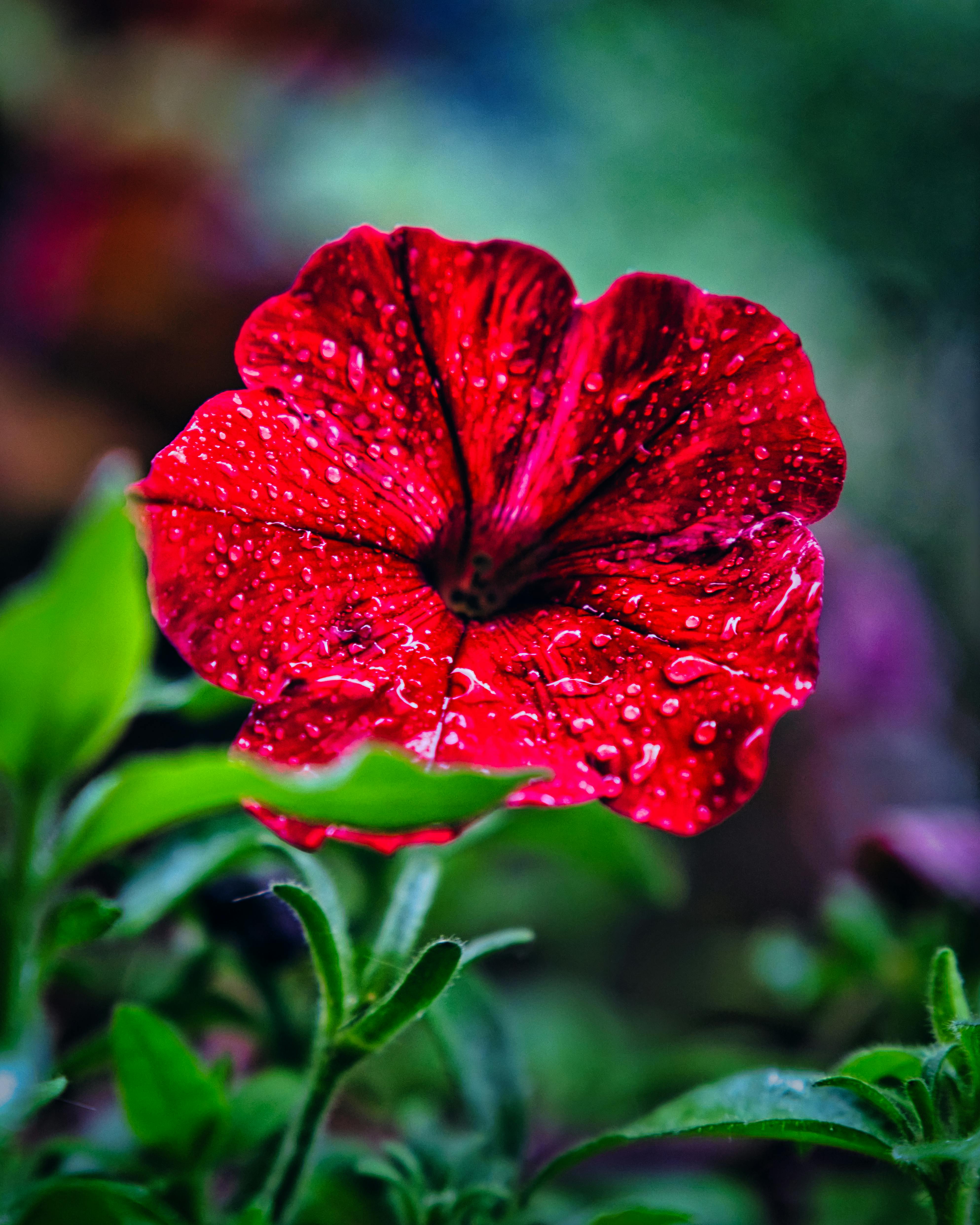 James Bernstein - 摄影