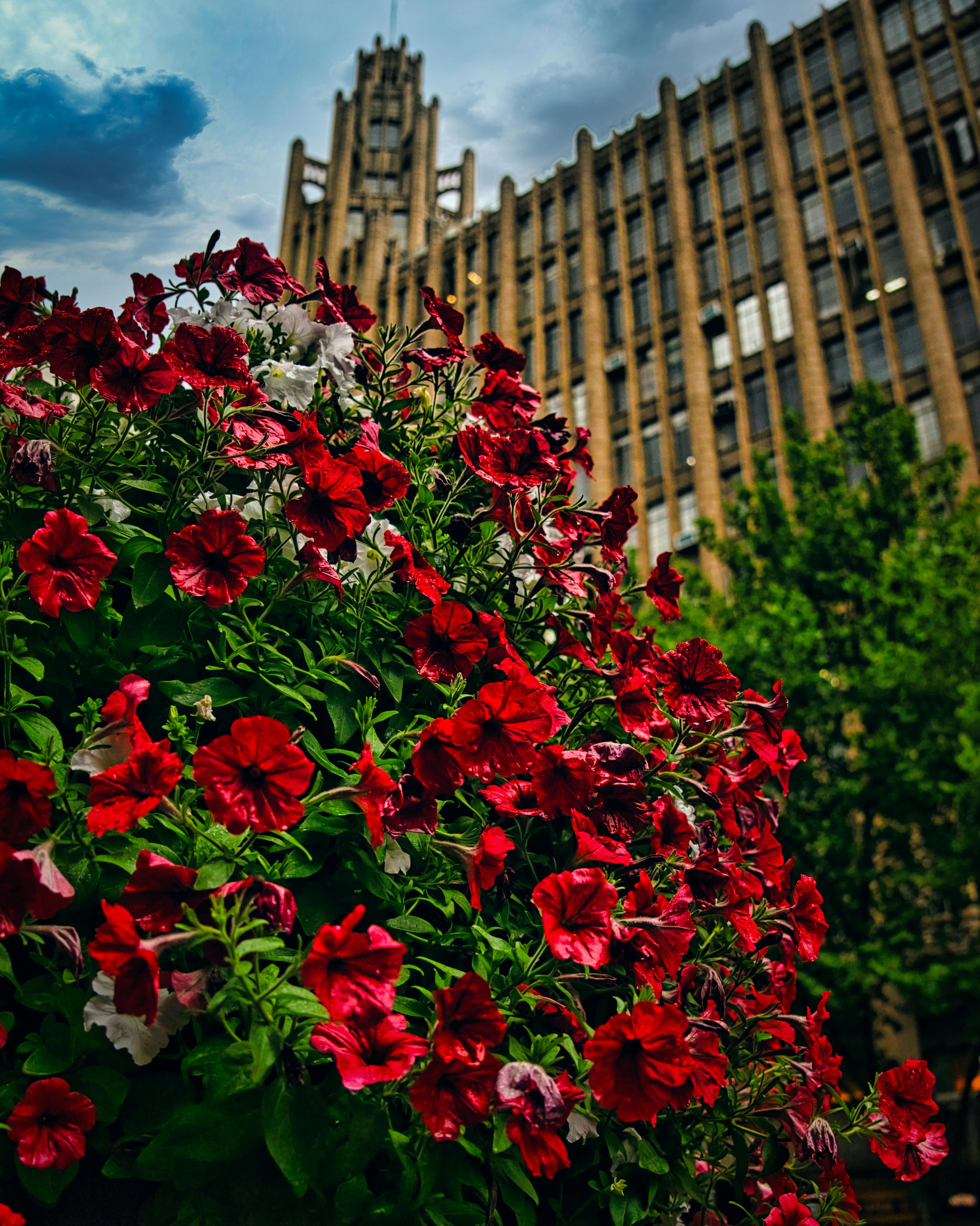 James Bernstein - 摄影