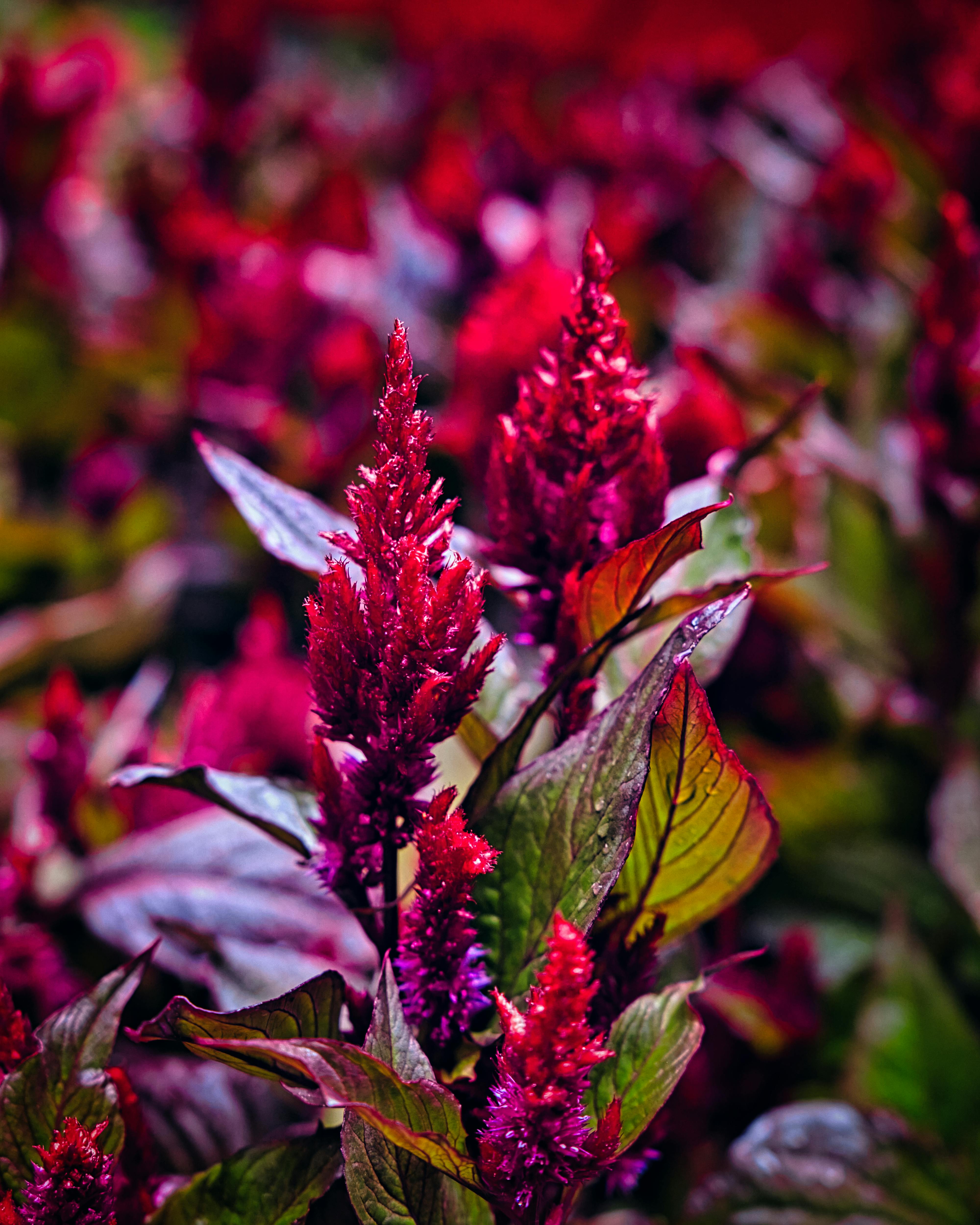 James Bernstein - Photography