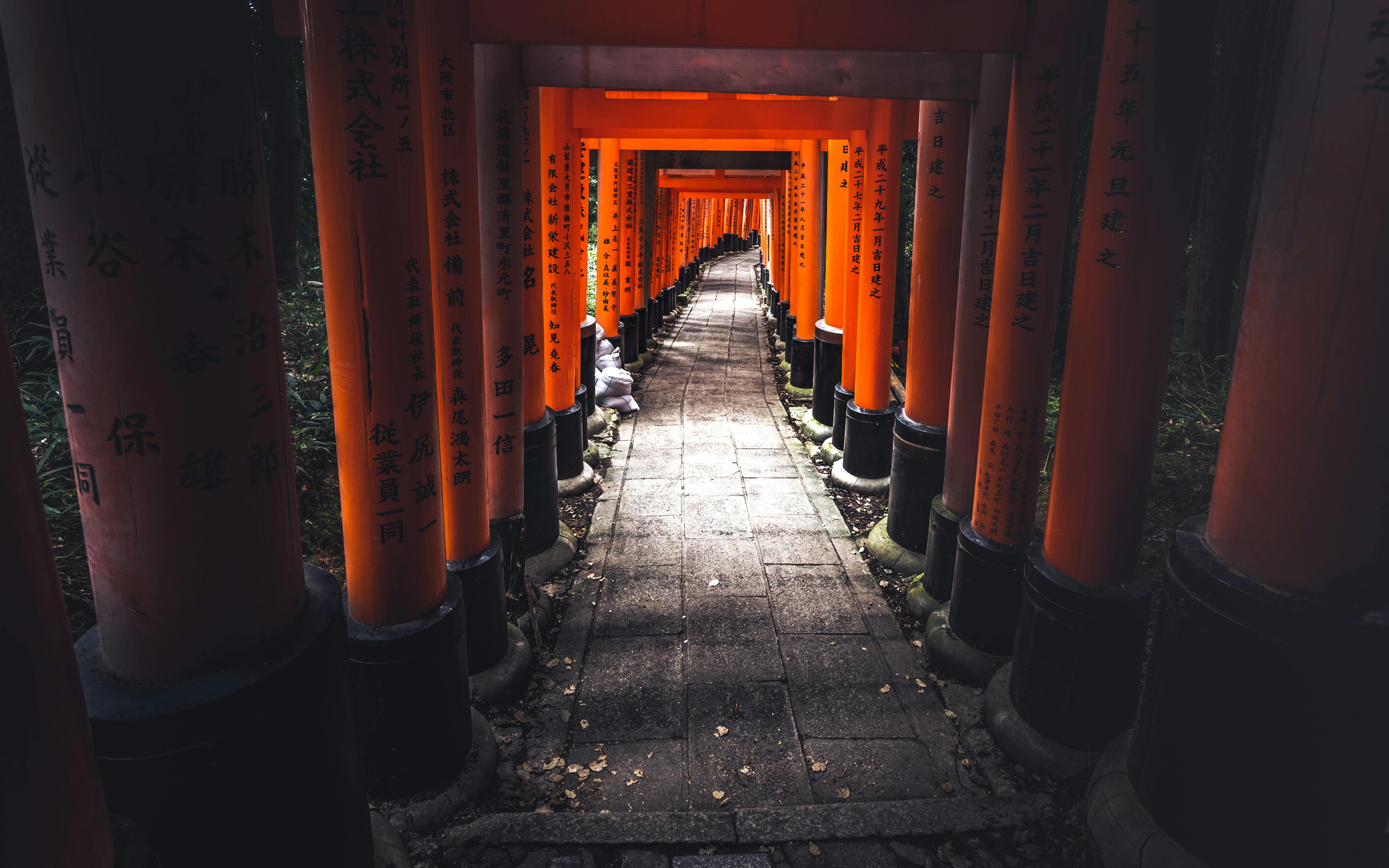 Fushimi Inari Photos, Download The BEST Free Fushimi Inari Stock Photos ...