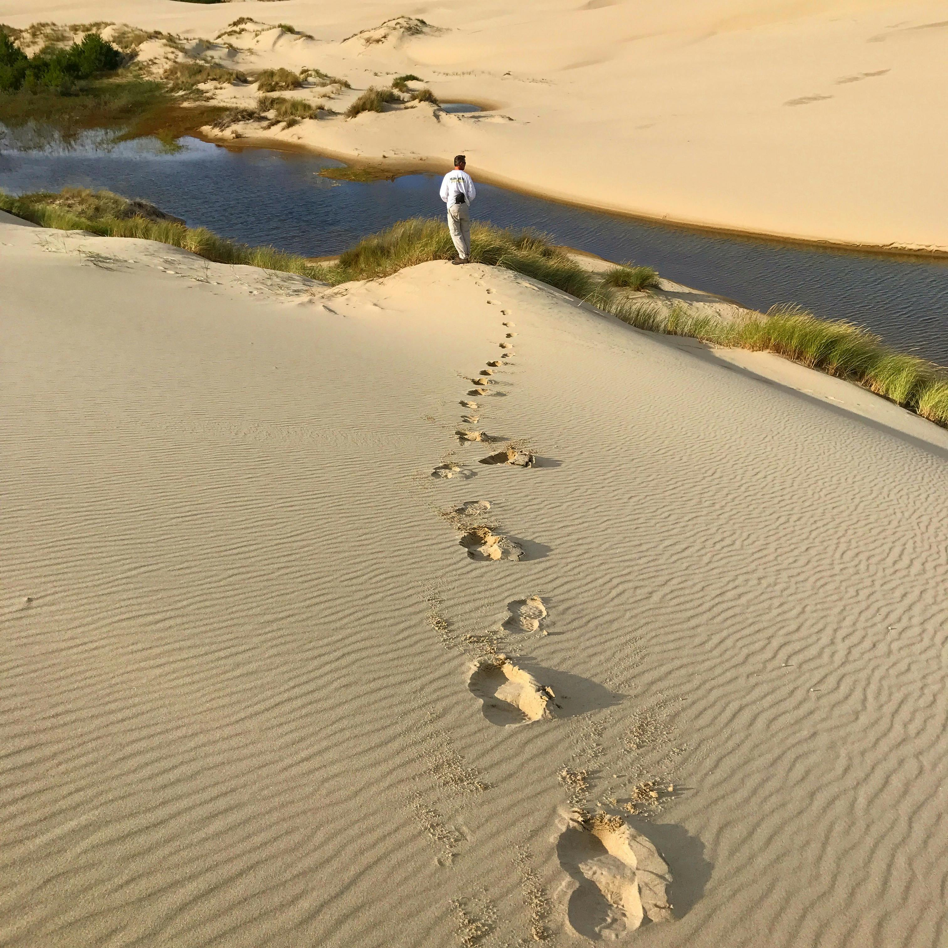 Man Standing on Desert · Free Stock Photo
