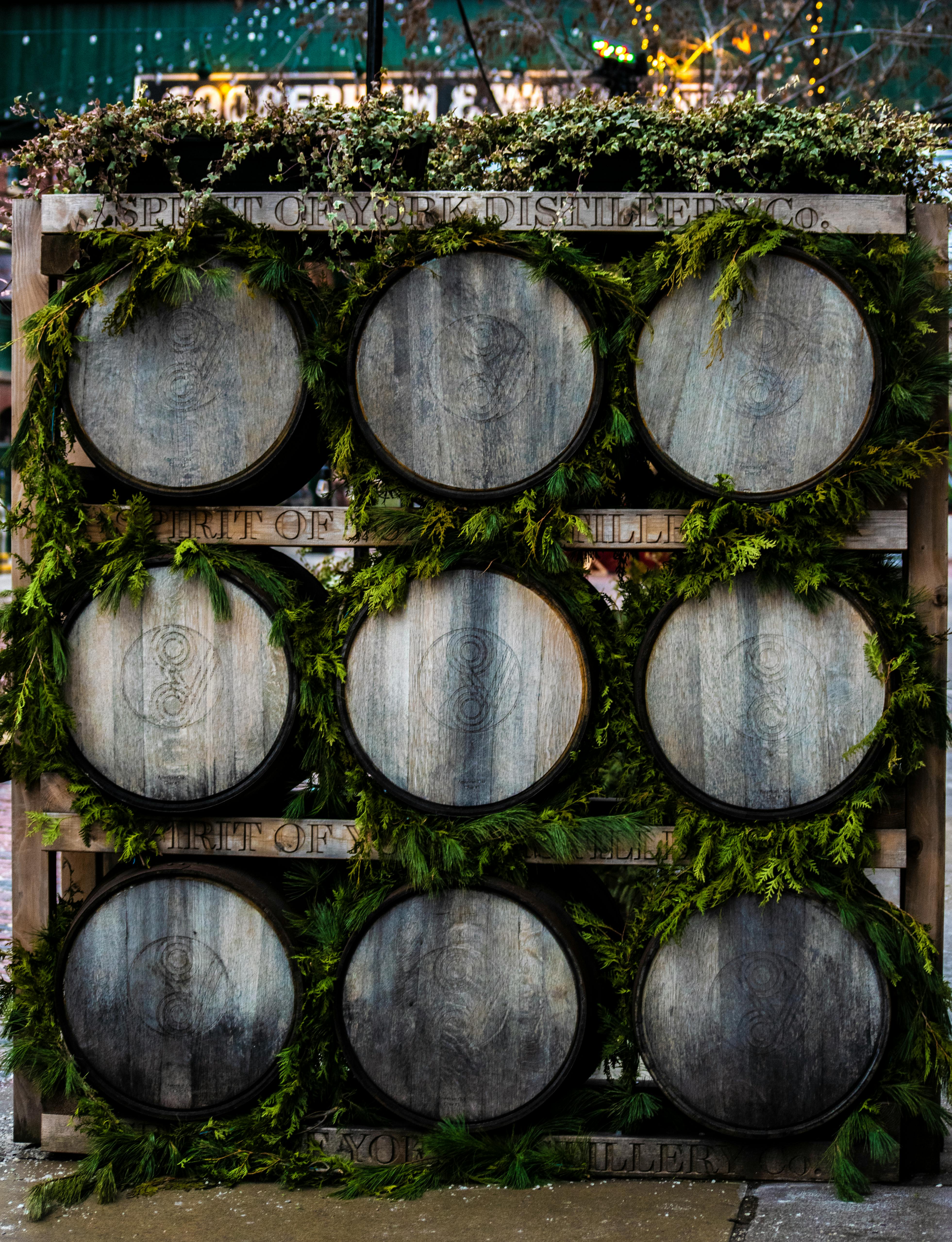 Simple Draft Beer Photos, Download The BEST Free Simple Draft Beer ...