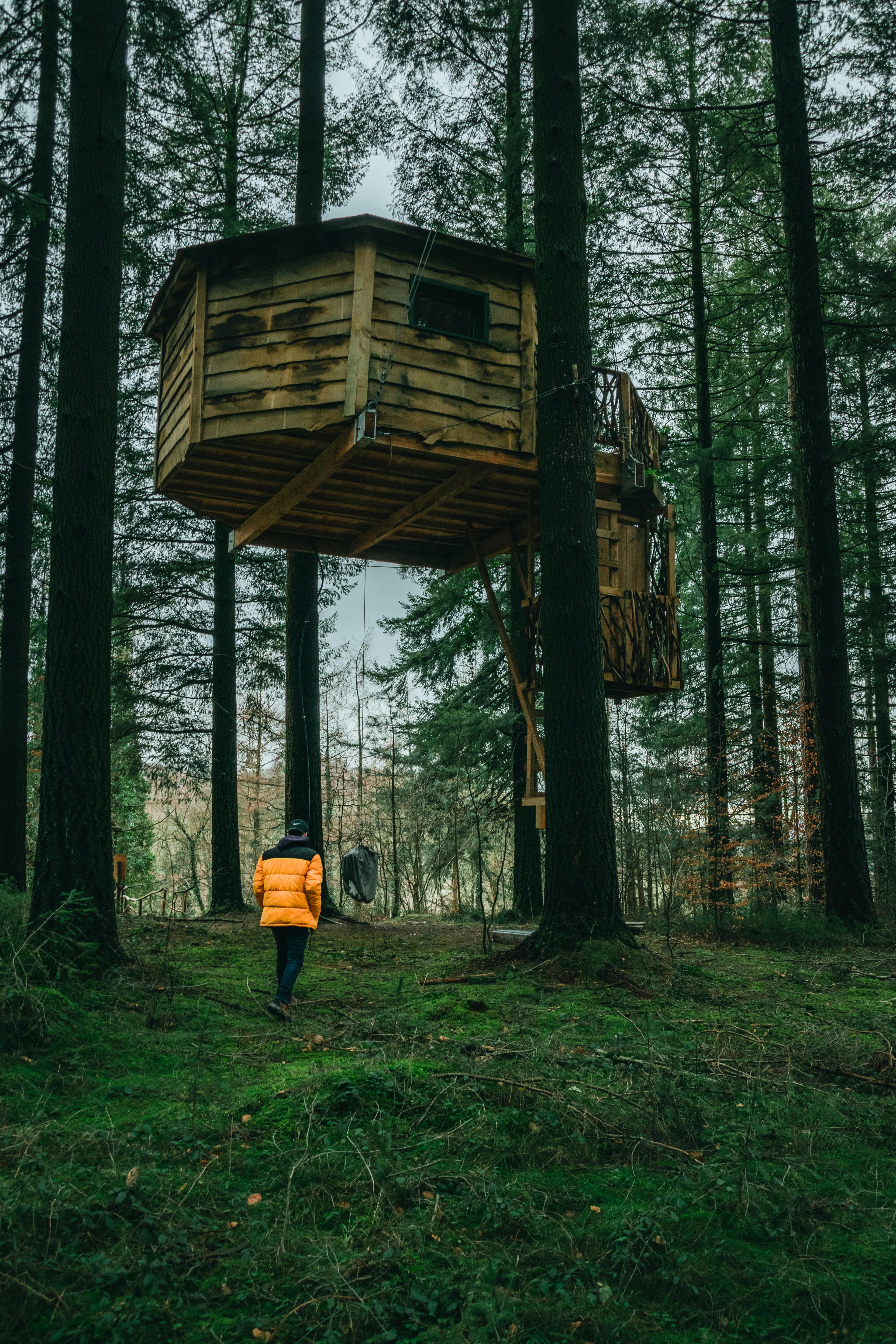 Treehouse Walk Photos, Download The BEST Free Treehouse Walk Stock ...