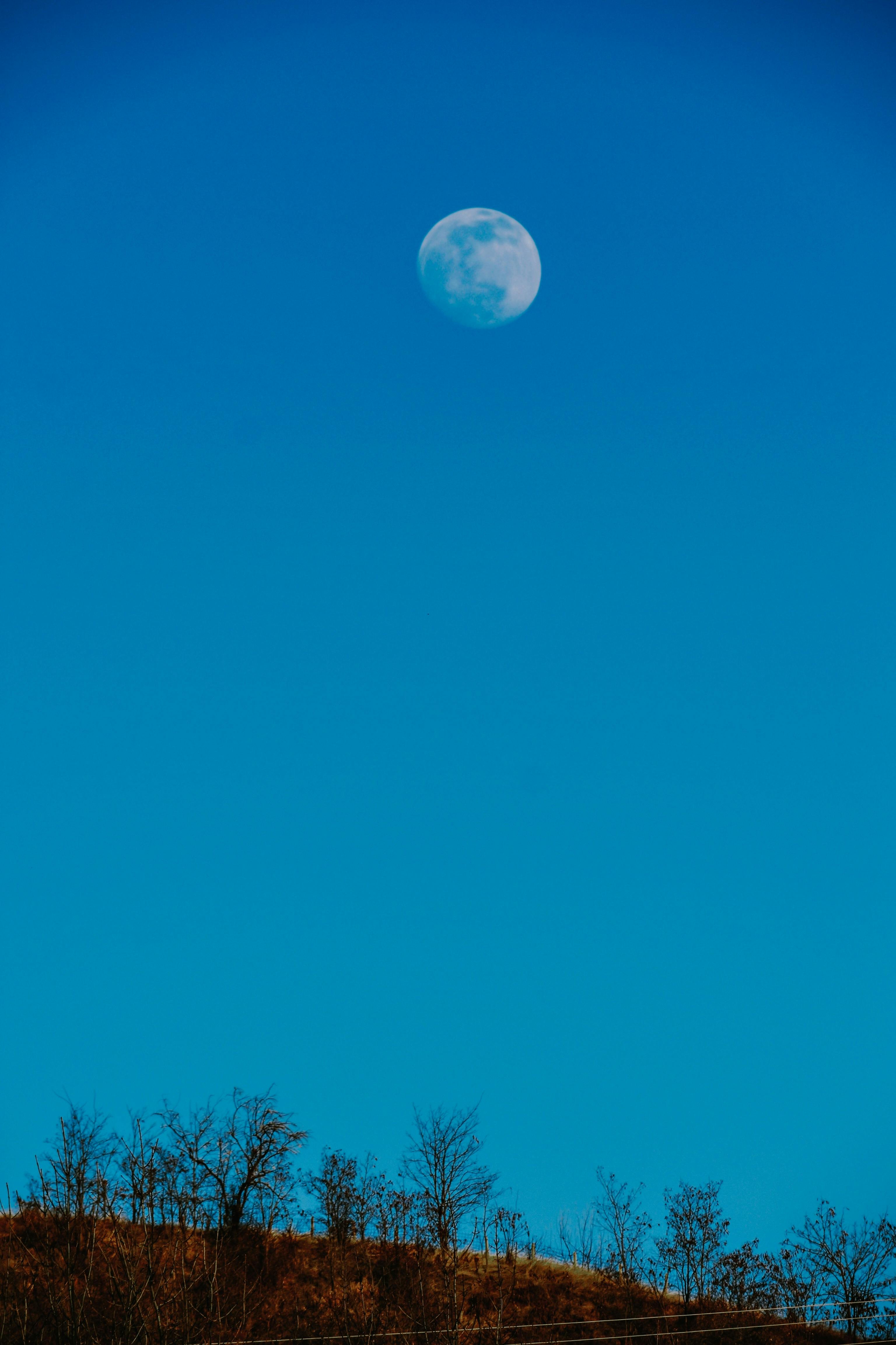 Full moon above hill with trees · Free Stock Photo
