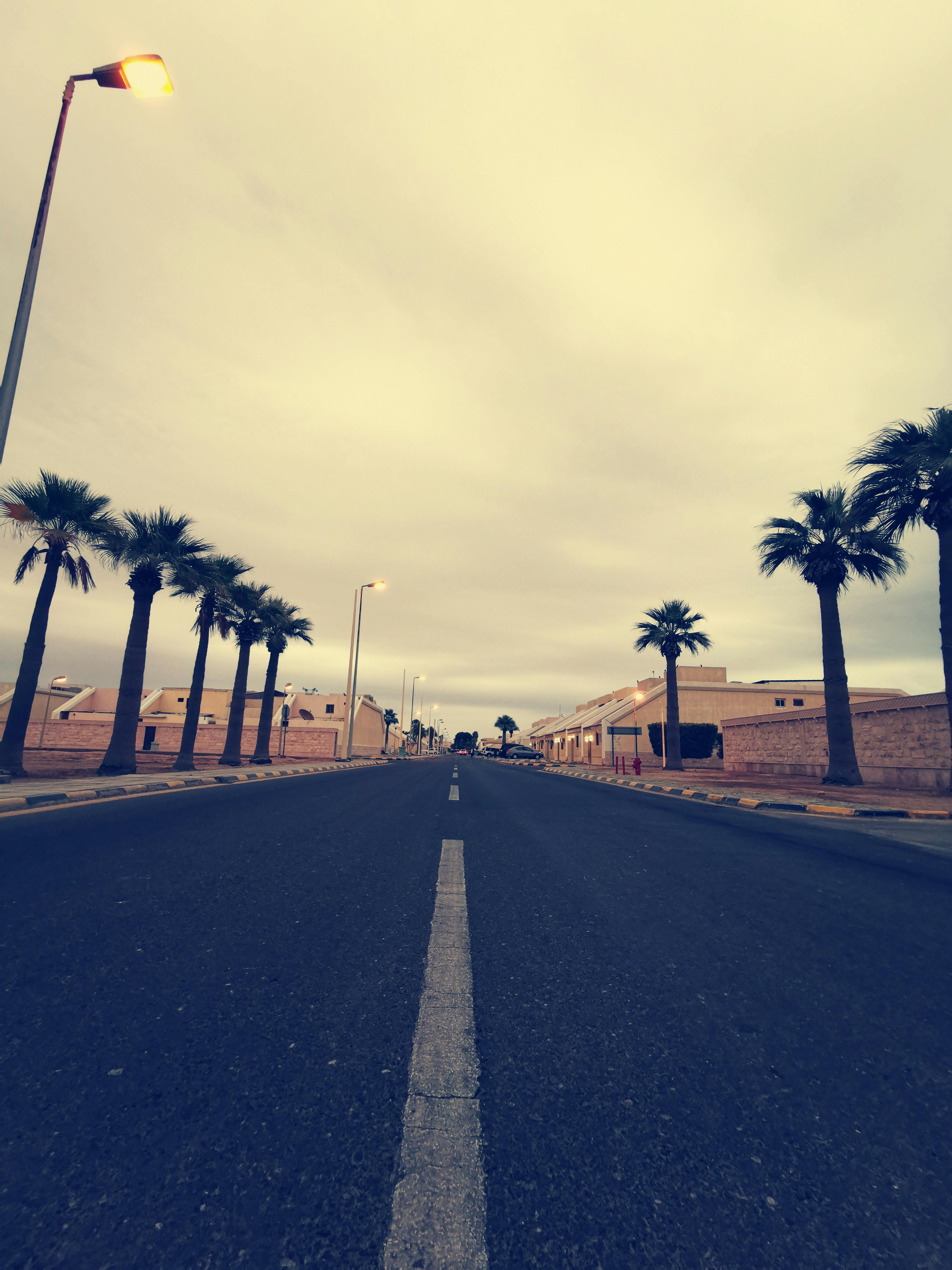 Mohammad Usman Mirza - Photographie