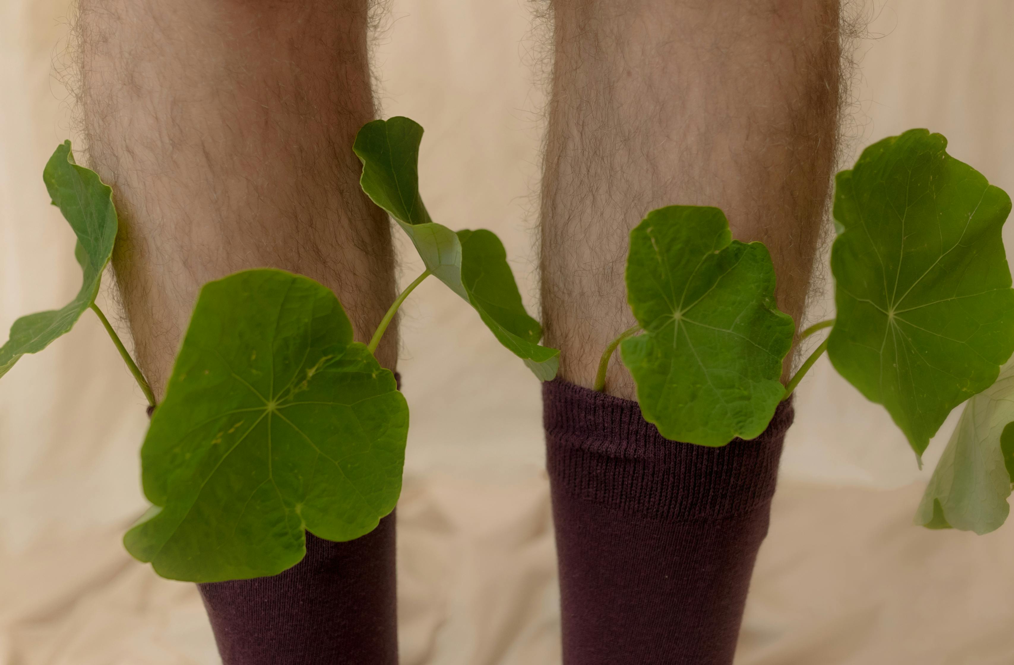 Green Leaves on Person's Leg · Free Stock Photo